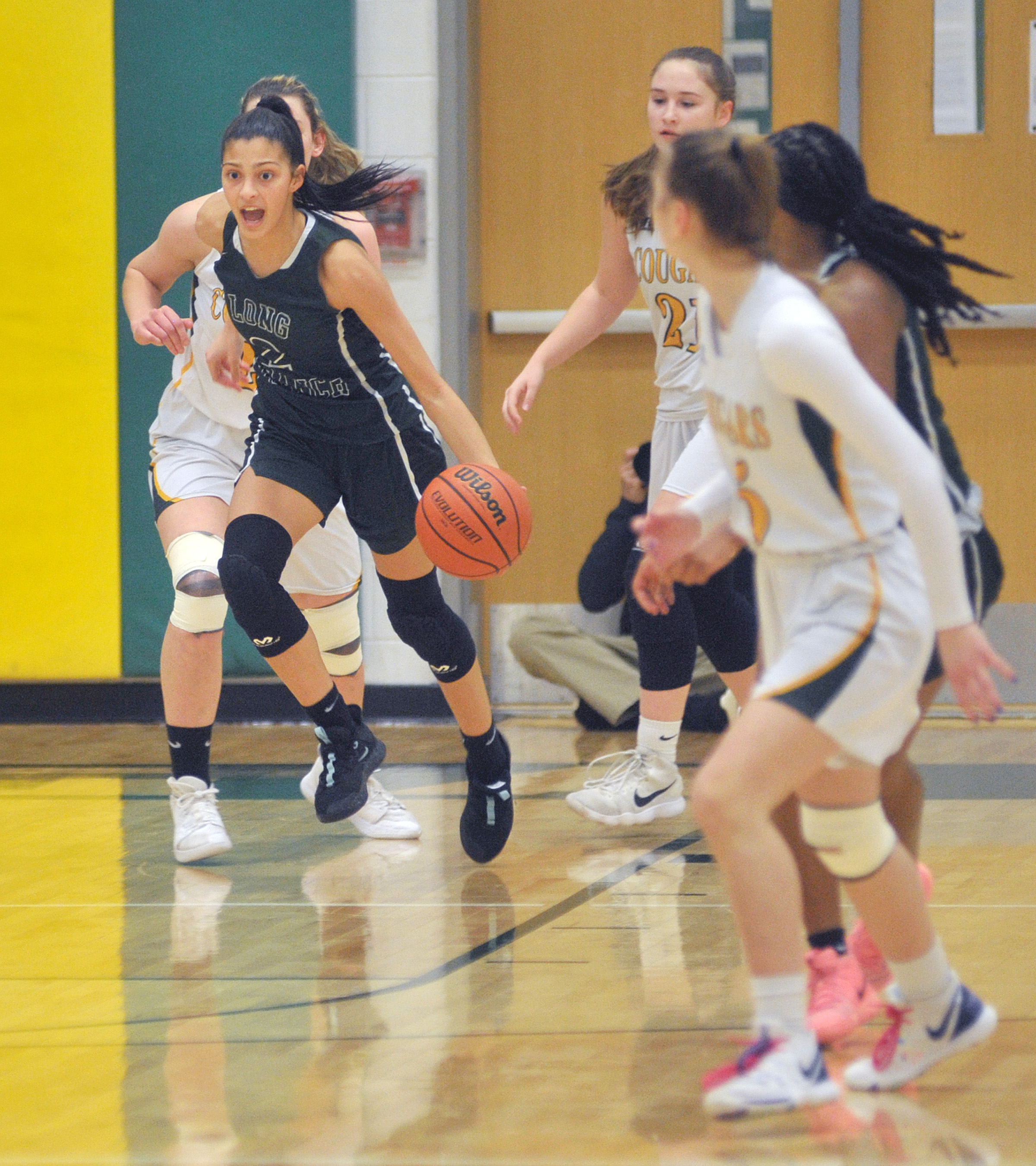 High School Girls Basketball Long Branch at Montgomery on 3-5-2020 - nj.com