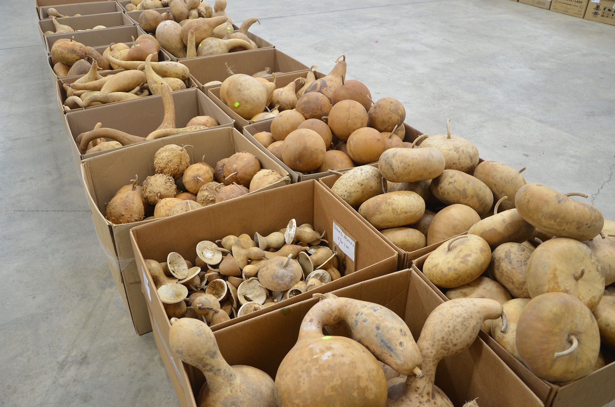 2019 Pennsylvania Gourd Gathering - pennlive.com