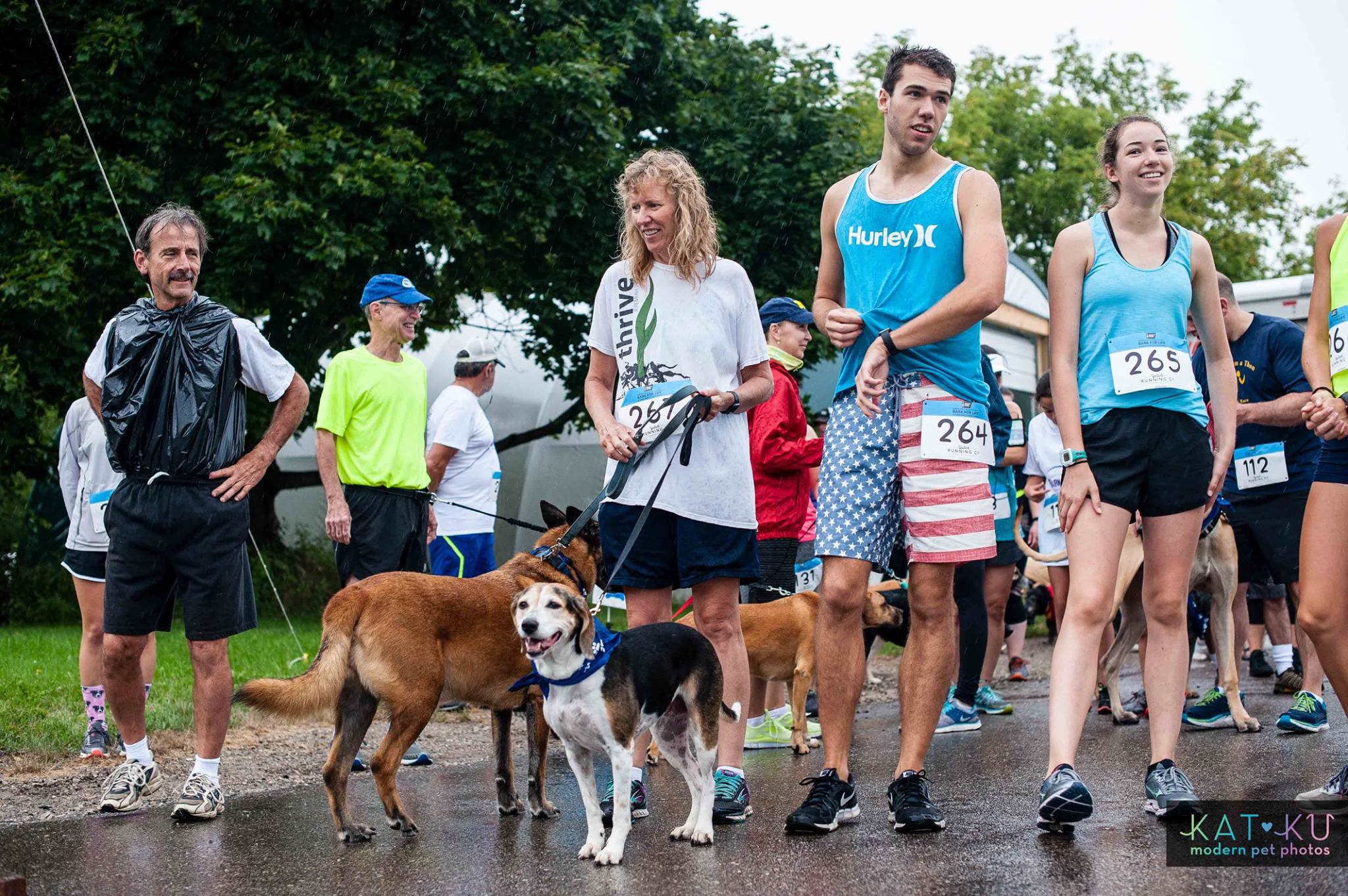 5K run with dogs helps raise funds to fight cancer - mlive.com