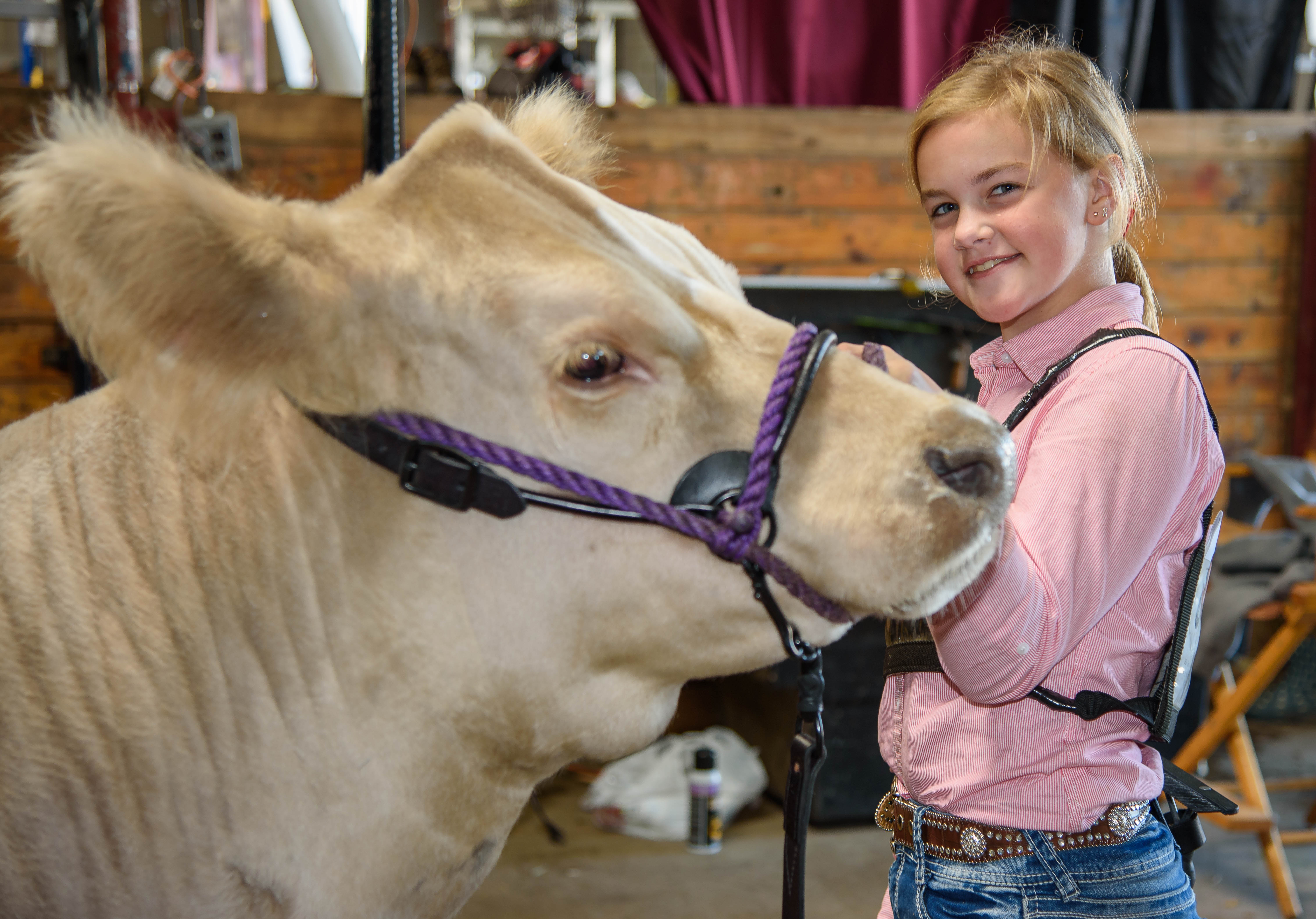 Automotive gurus host Collector Car Live 2019 at The Big E - masslive.com