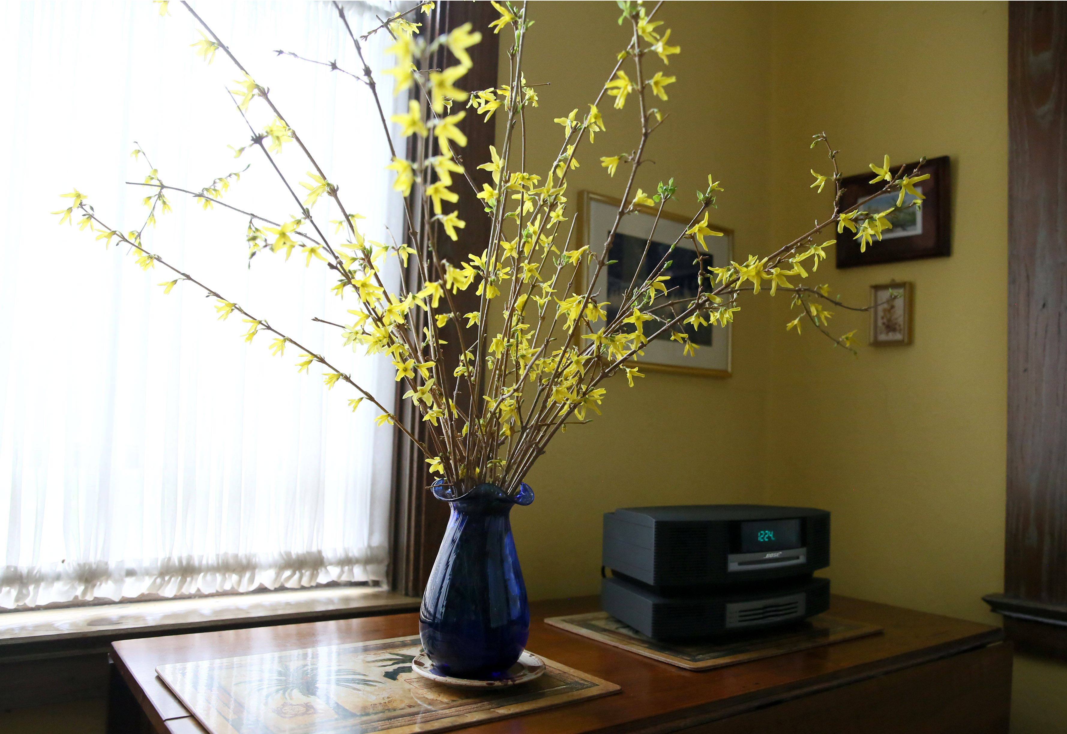 Cool Spaces home in Brecksville - cleveland.com