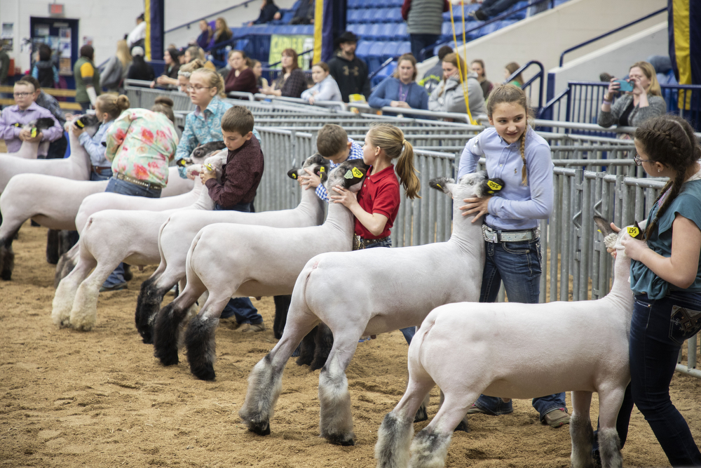 Photos: Day 1 of the 2019 Pa. State Farm Show - pennlive.com