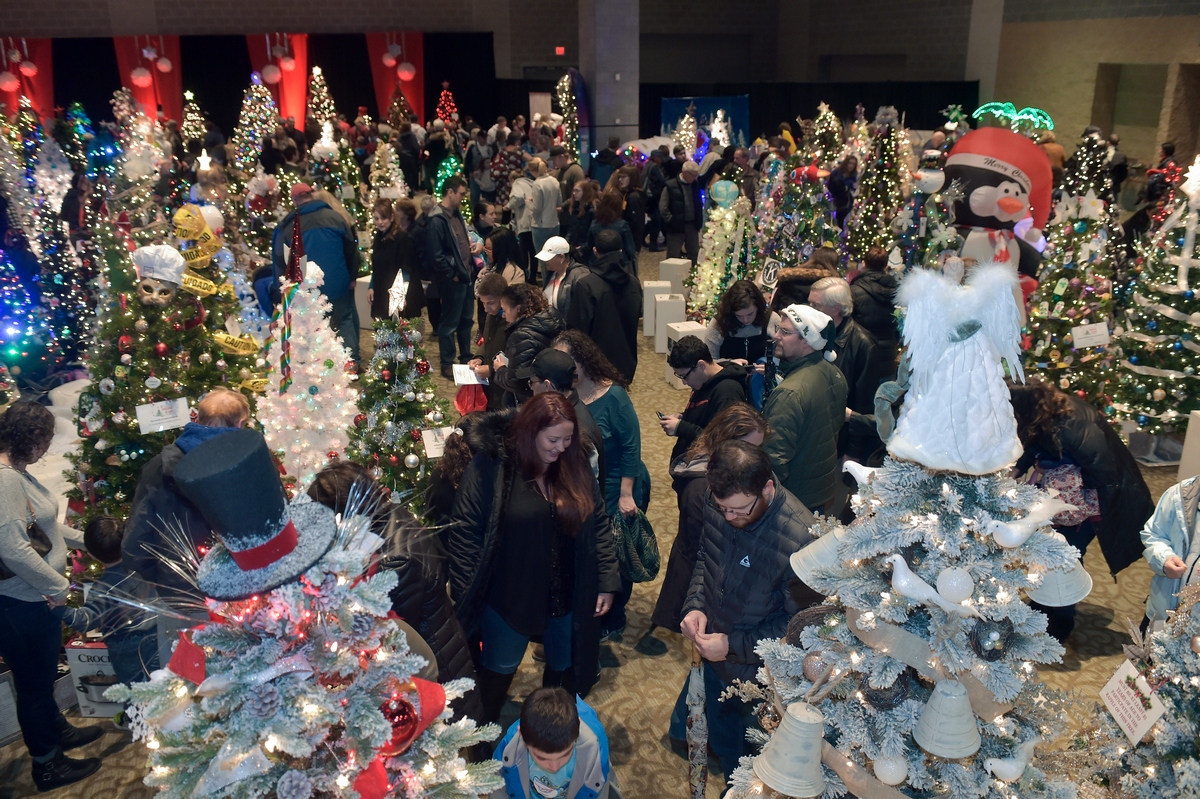 Festival Of Trees Springfield Ma
