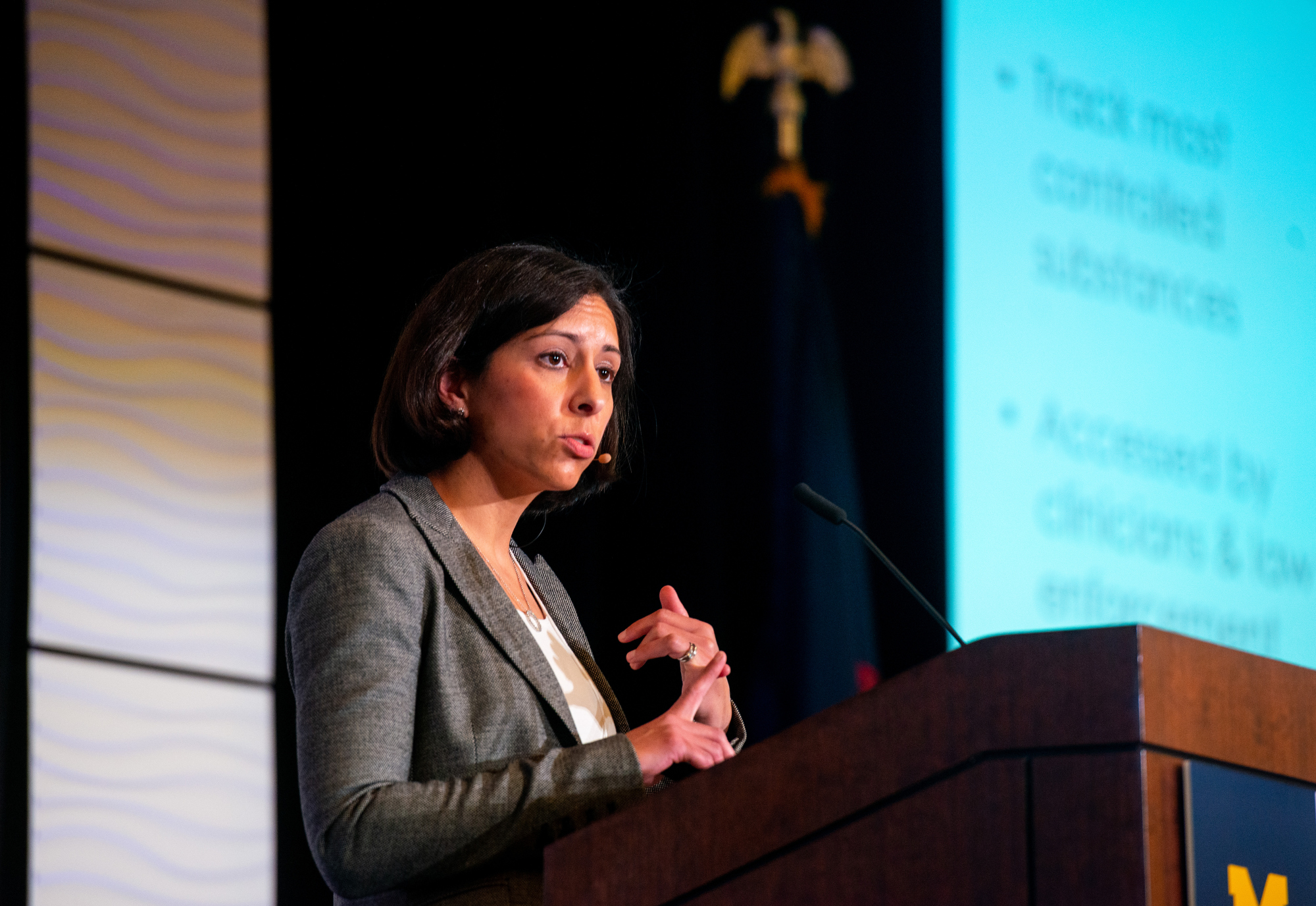 University of Michigan and Harvard hold joint summit on opioid crisis ...