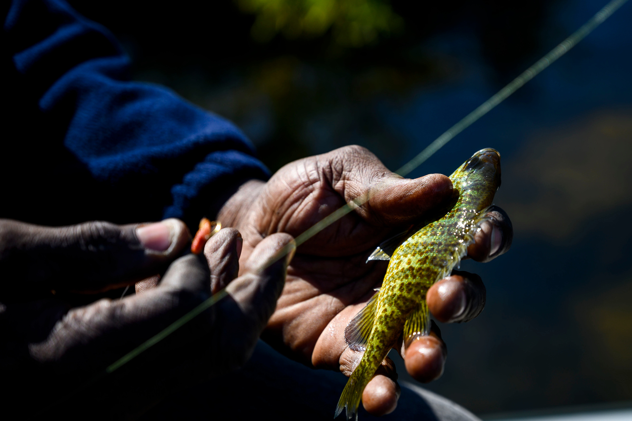 Faces of PFAS - mlive.com