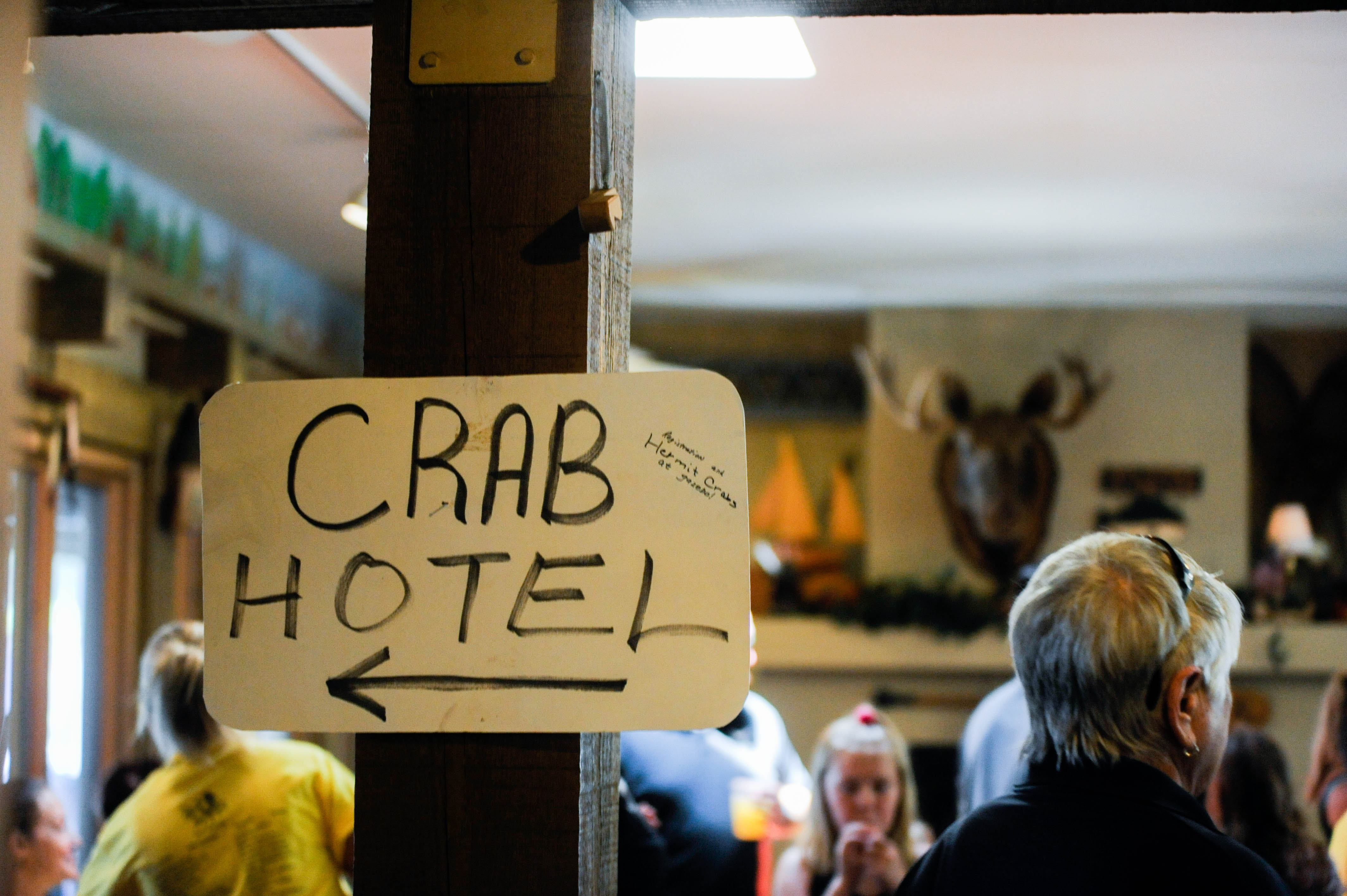 Crabs compete at the annual Great American Crab Races - mlive.com