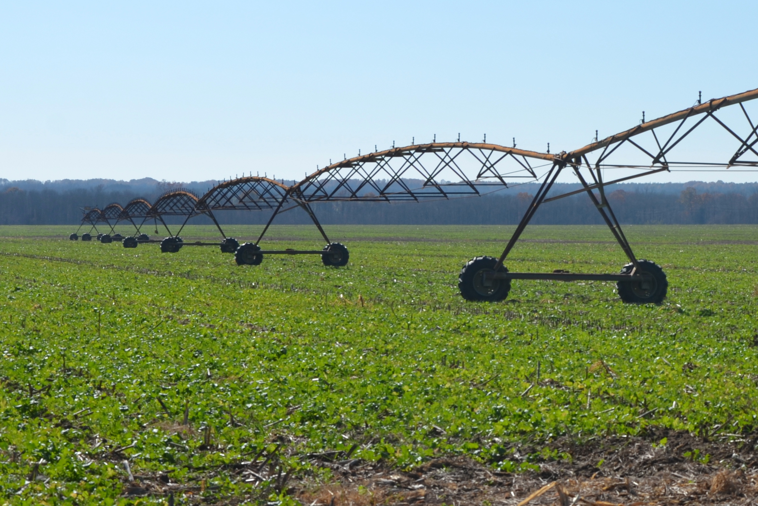 Alabama farmer looks to cash in on carbon sequestration - al.com
