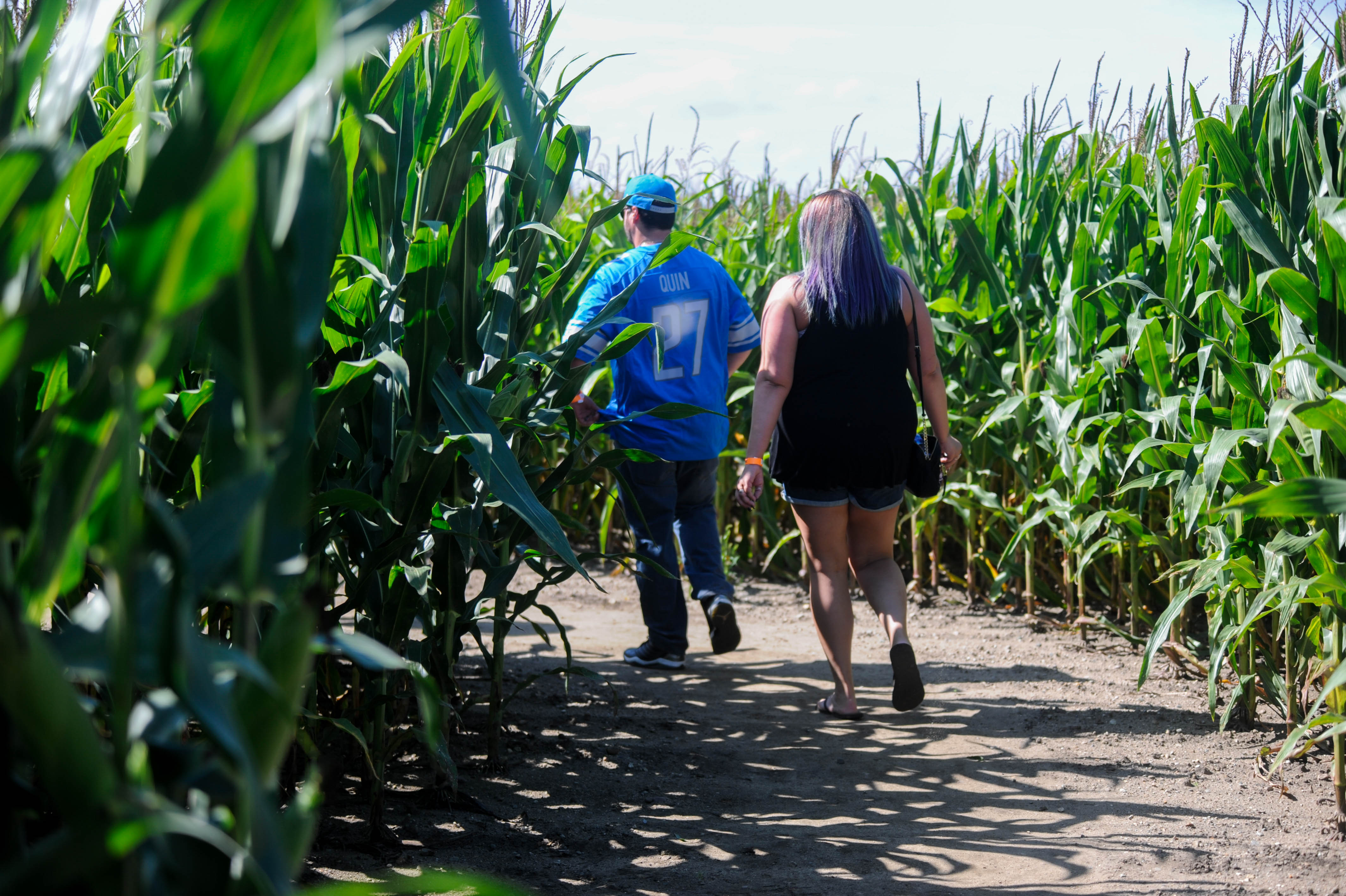 Family fun at DeBuck's Corn Maze and Pumpkin Patch - mlive.com