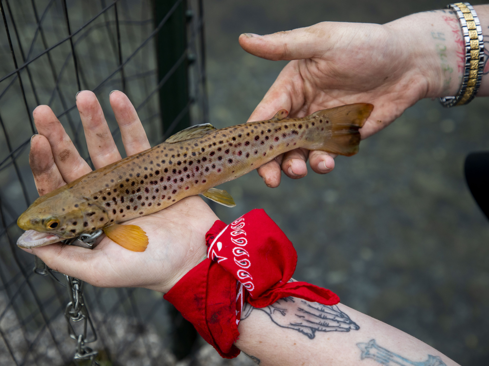 Opening day of fishing season in Pennsylvania 2019 - pennlive.com