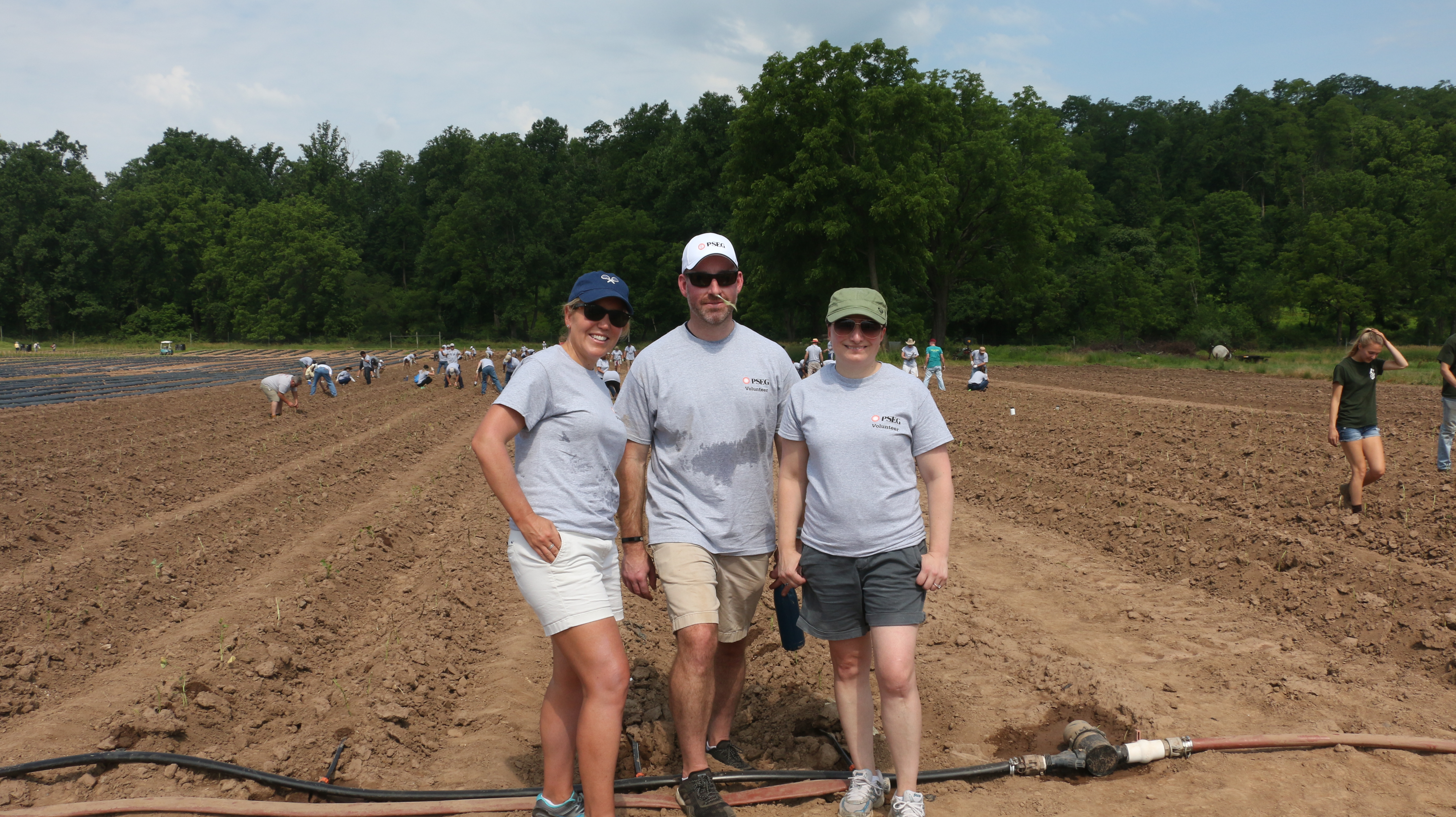 PSEG employees plant crops with Pittstown nonprofit to feed community ...