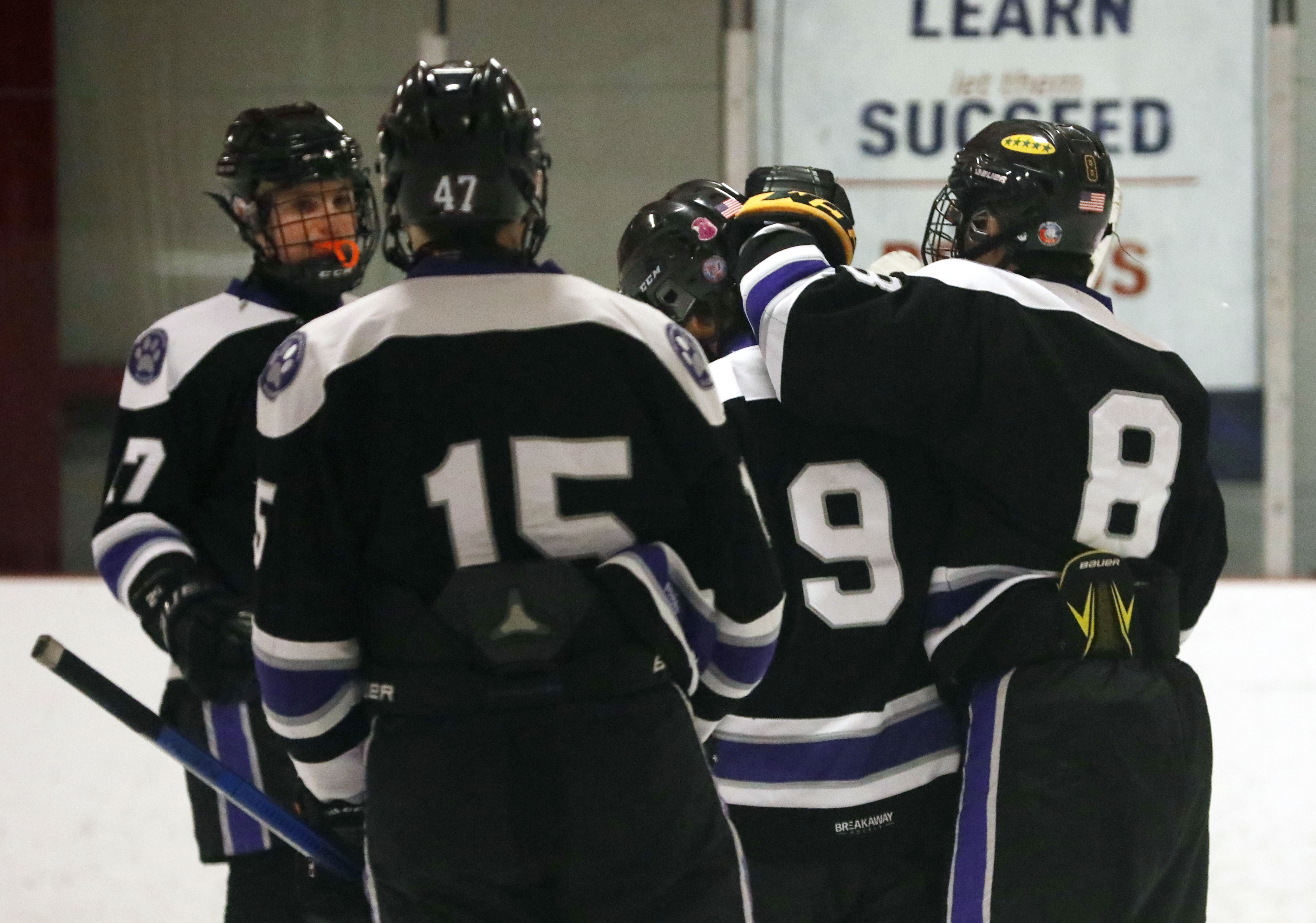 Boys Ice Hockey: Rumson-Fair Haven defeats Freehold Township - nj.com