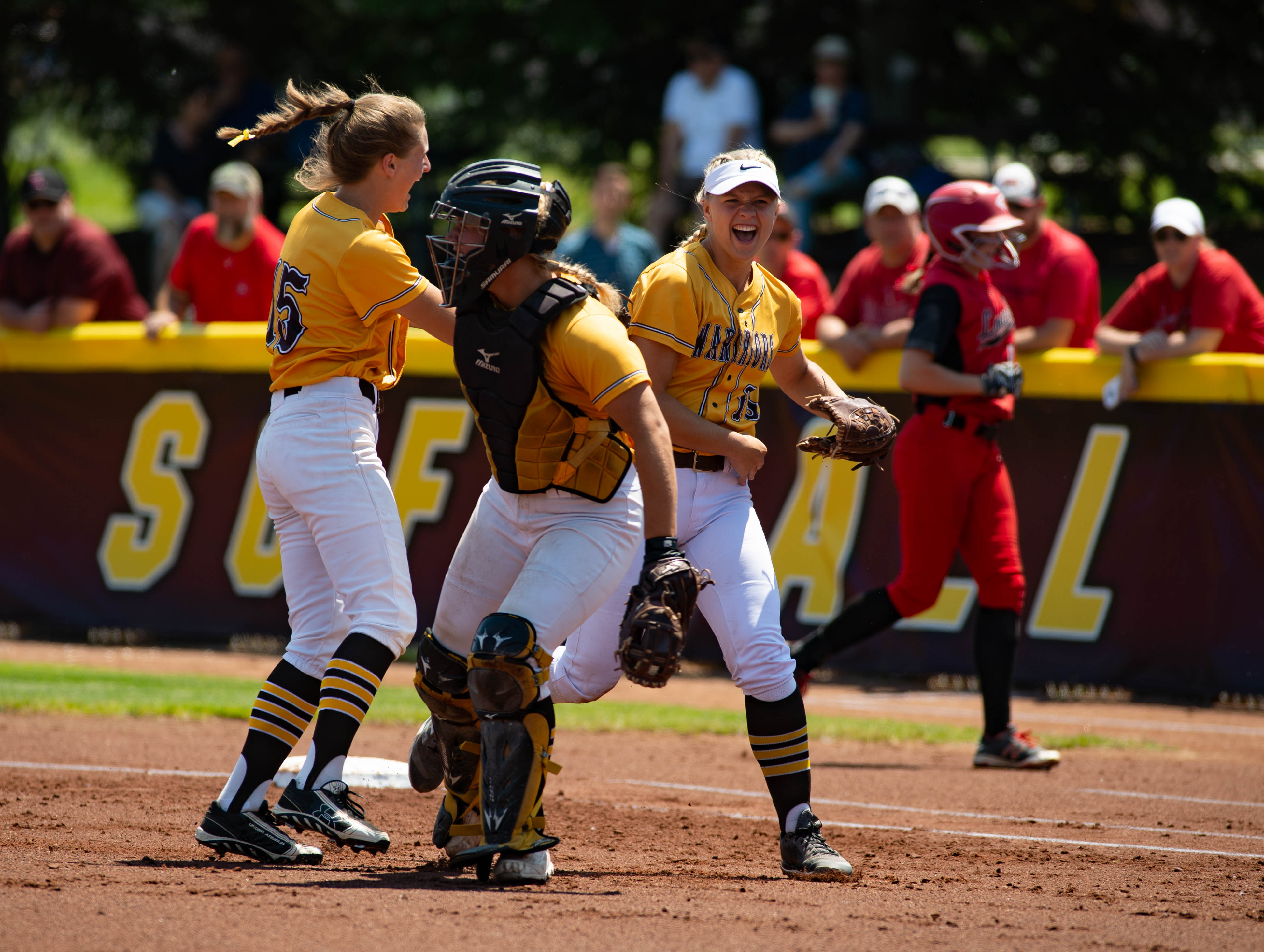 2019 MLive Bay City Baseball and Softball Dream Teams - mlive.com