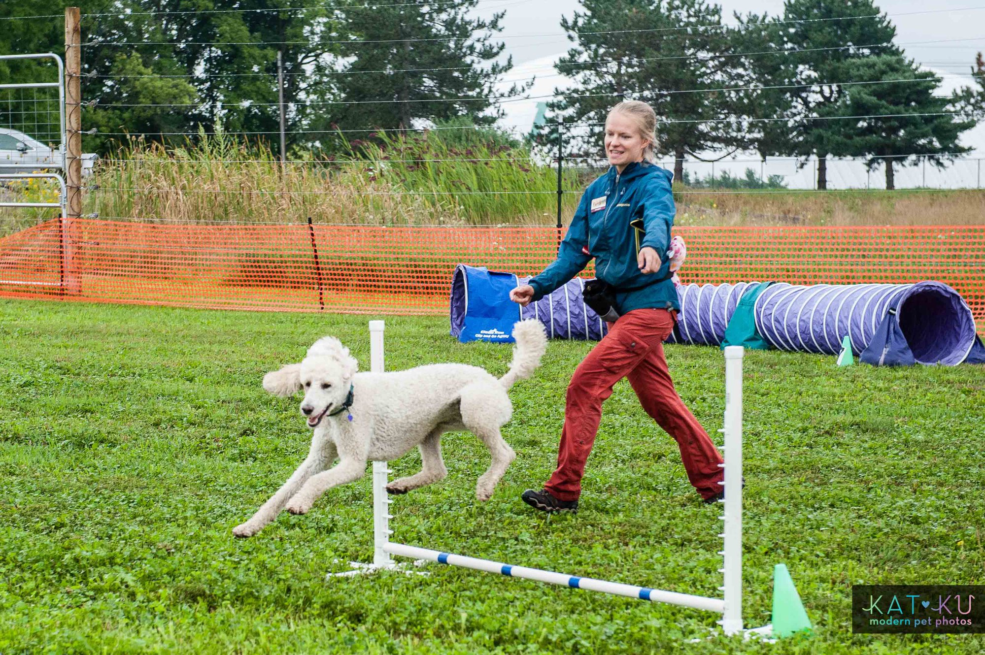 5K run with dogs helps raise funds to fight cancer - mlive.com