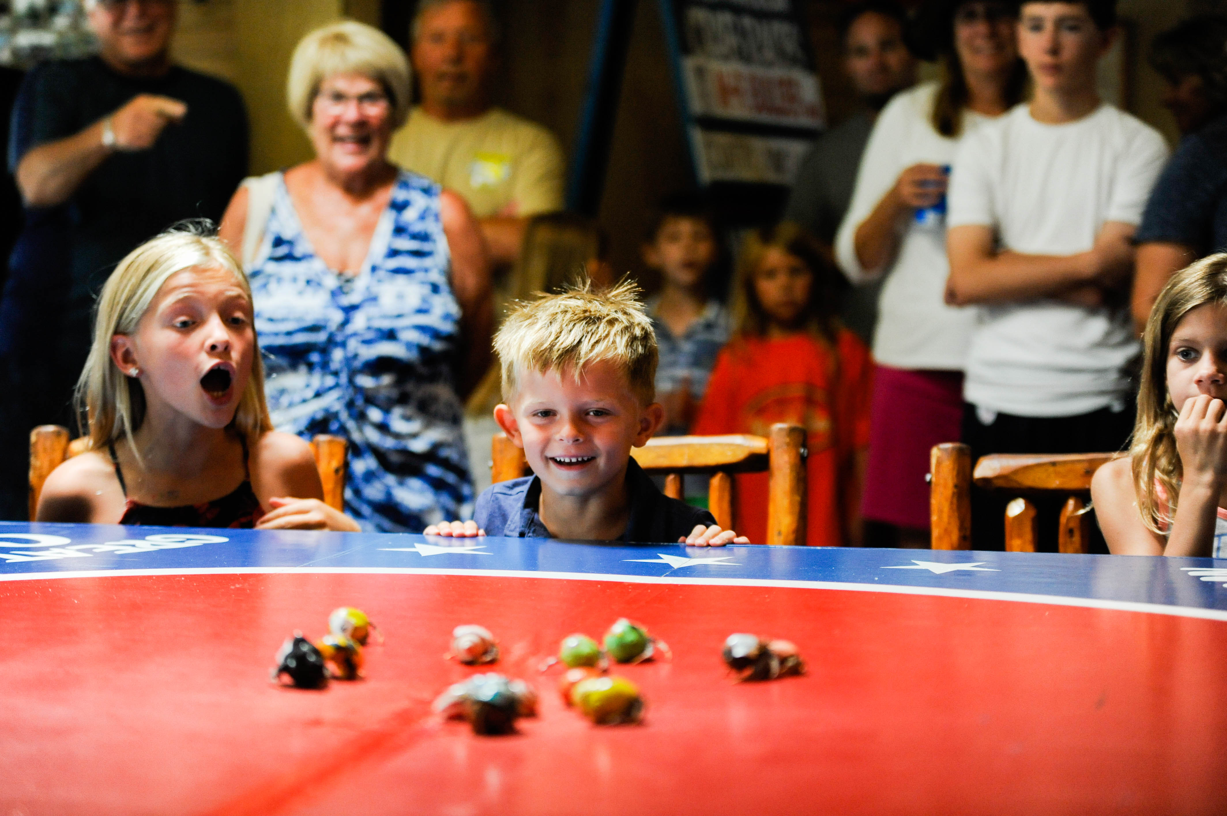 Crabs compete at the annual Great American Crab Races - mlive.com