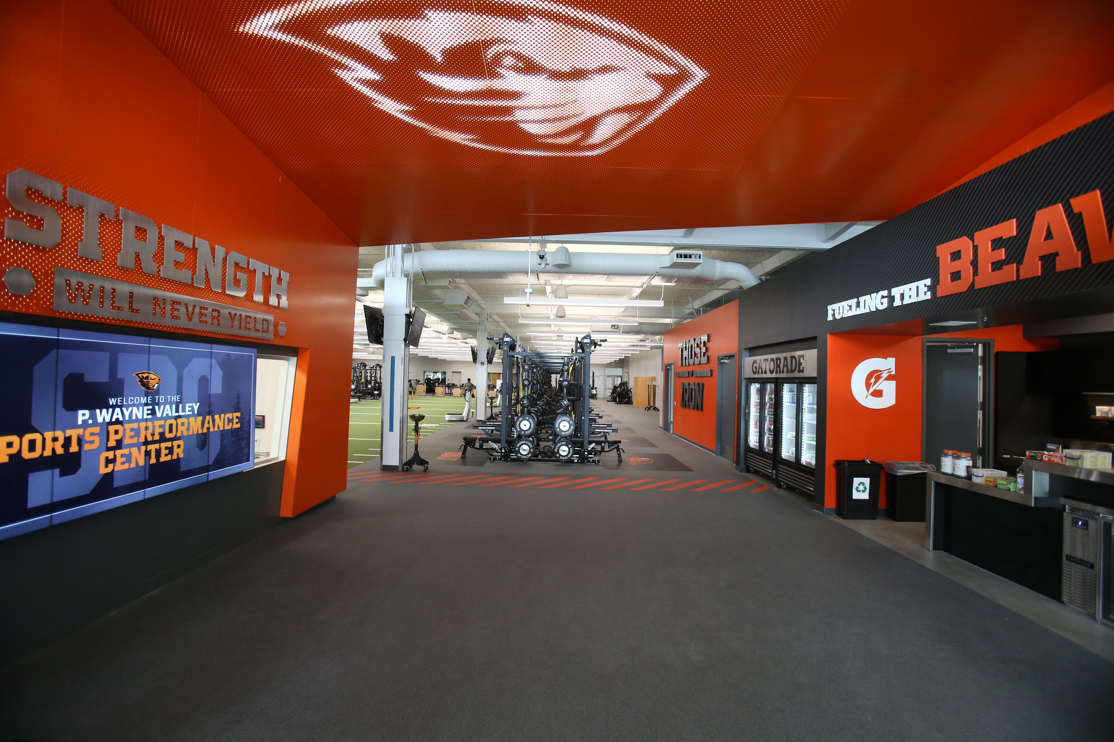 Oregon State Beavers' renovated sports performance center - oregonlive.com