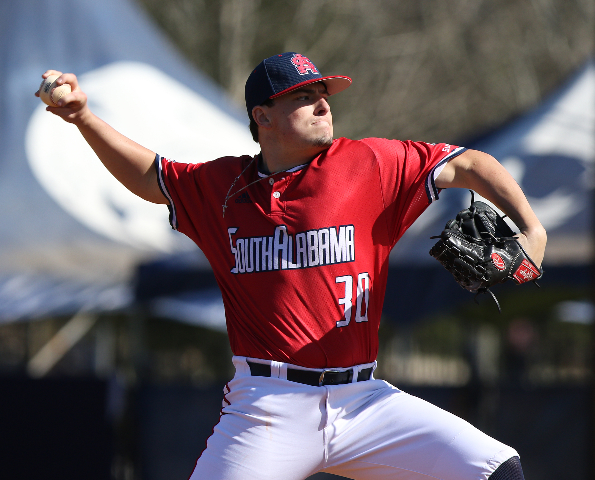Campbell at South Alabama baseball - al.com