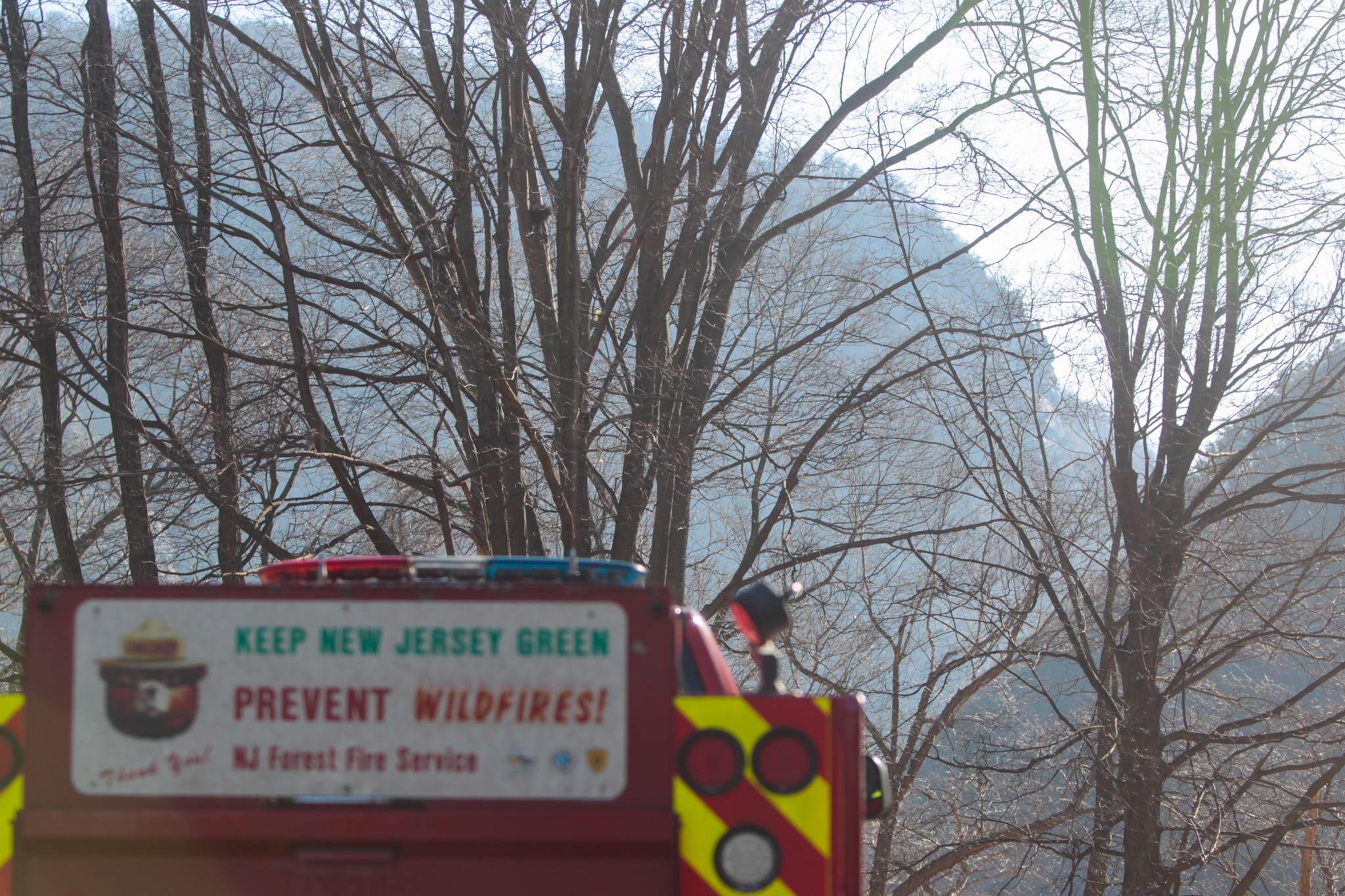 Delaware Water Gap forest fire Feb. 24, 2020 - lehighvalleylive.com