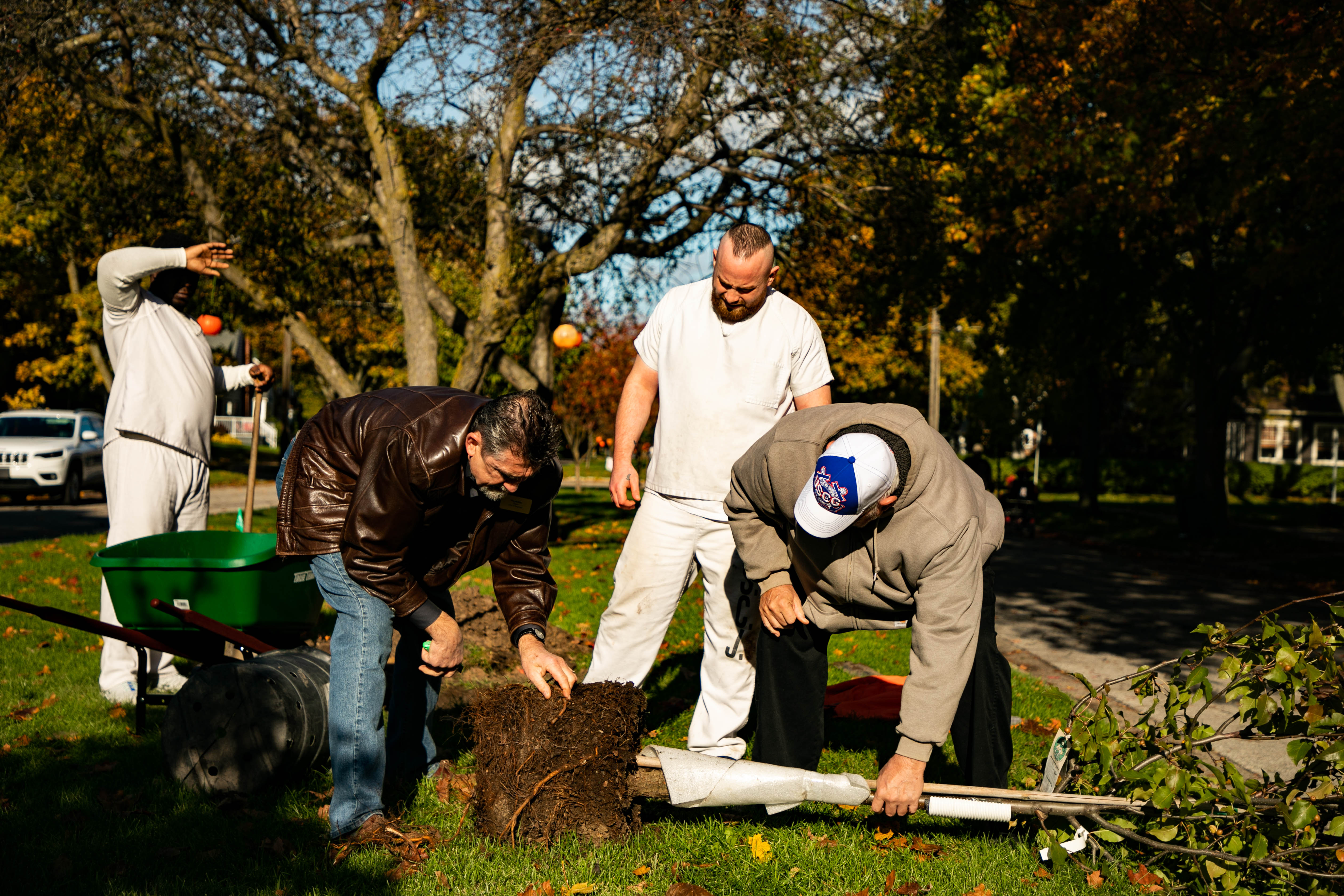 Tree planting on Adams Boulevard - mlive.com