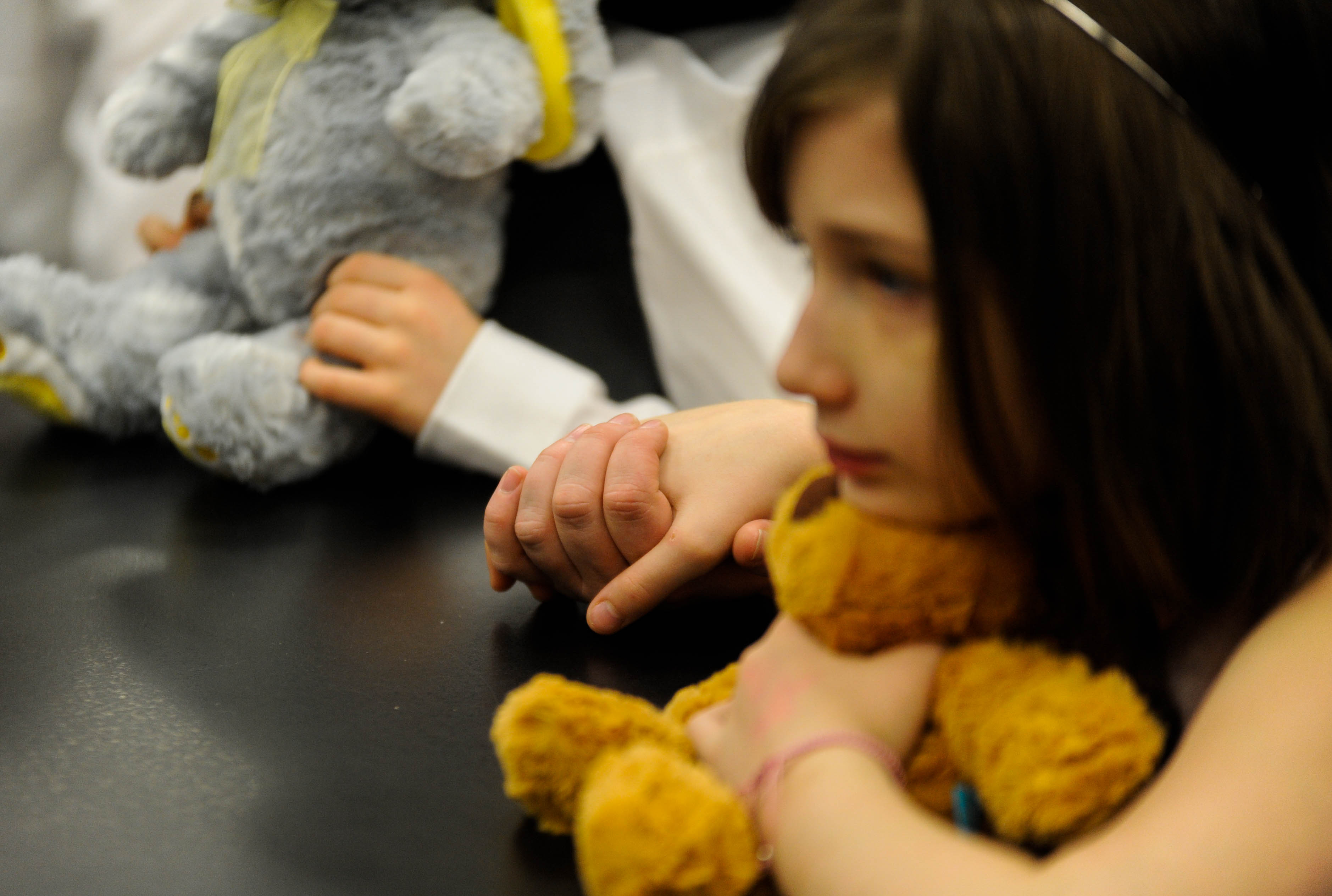 Families across Michigan celebrate Adoption Day - mlive.com