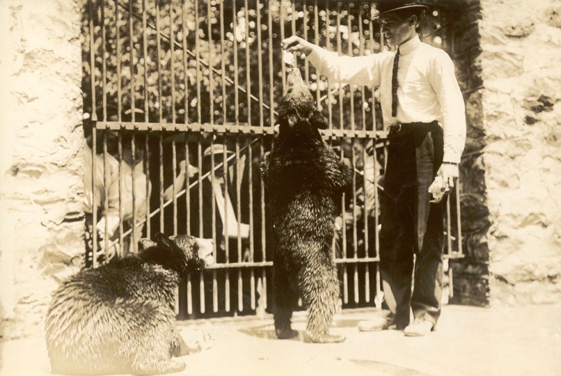 Vintage photos of the Hershey Zoo - pennlive.com