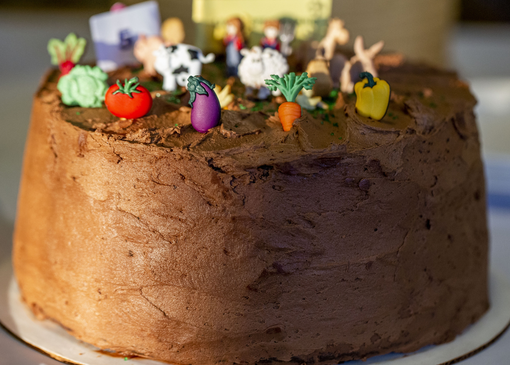Chocolate cake judging at the 2019 Pennsylvania Farm Show - pennlive.com
