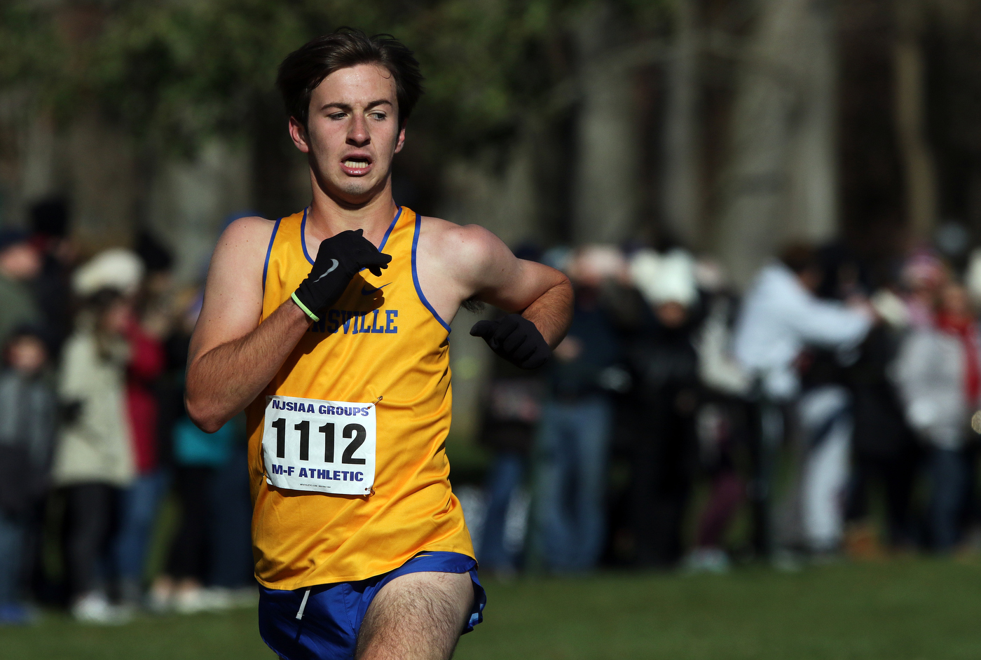 Boys Cross Country: 2019 State Group Championships at Holmdel Park. Nov ...