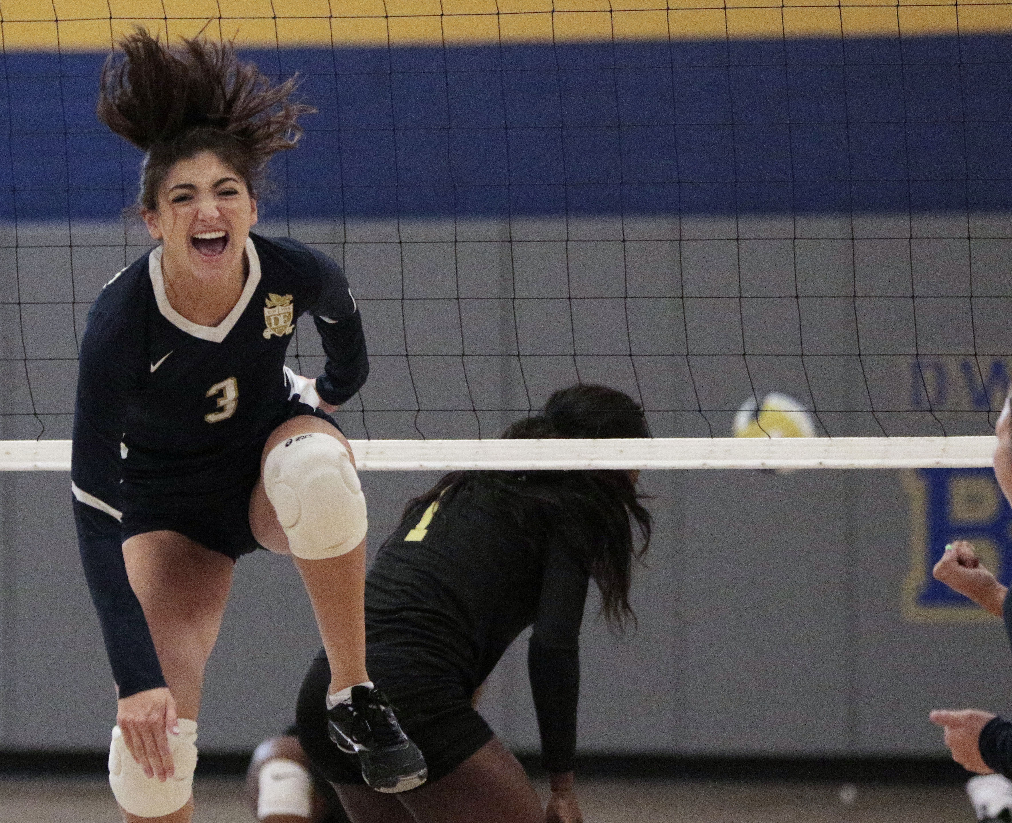Girls Volleyball: No. 3 Dwight-Englewood defeats No. 10 Hudson Catholic ...