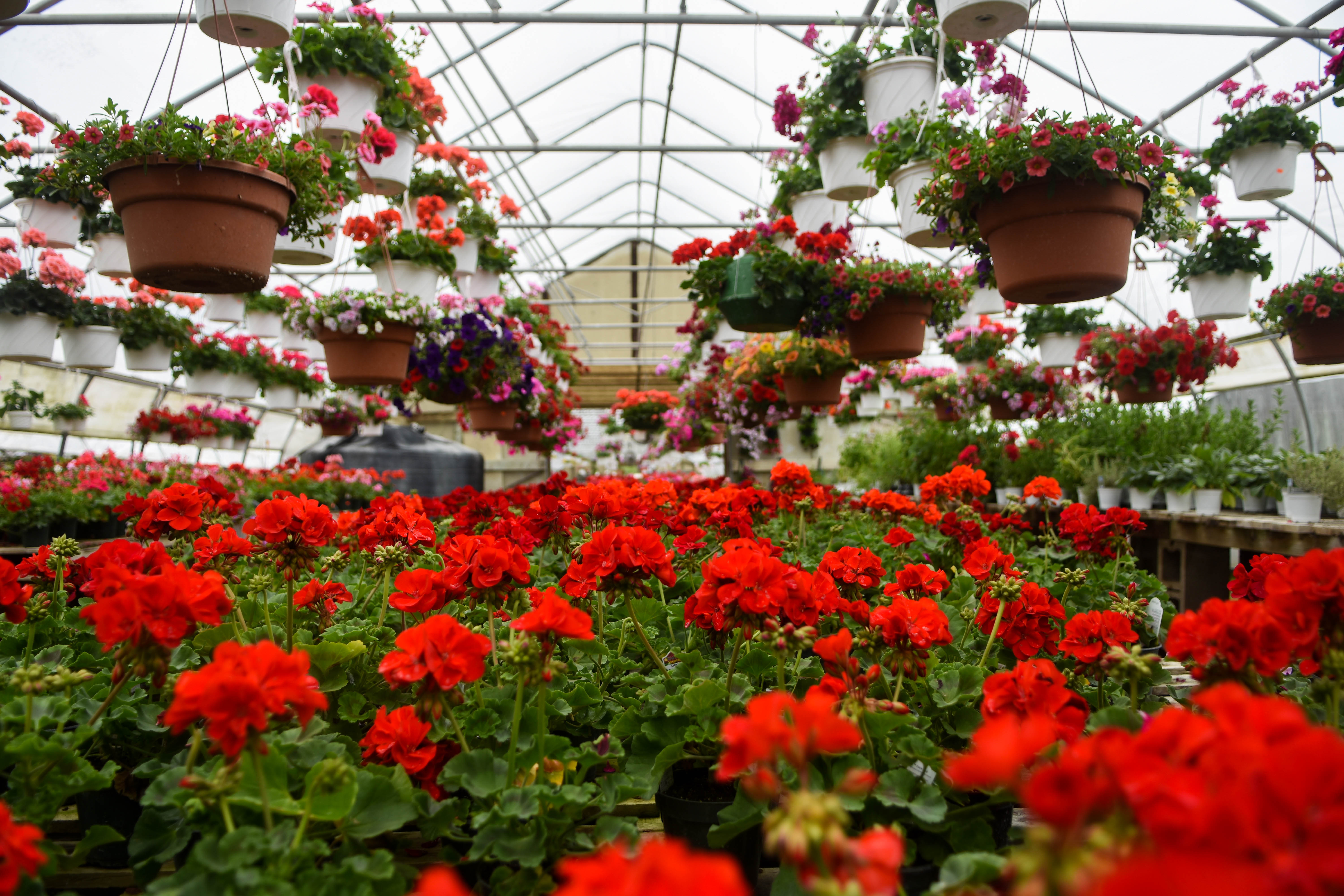 Hobbit Place in Spring Arbor reopens after closing at end of year ...