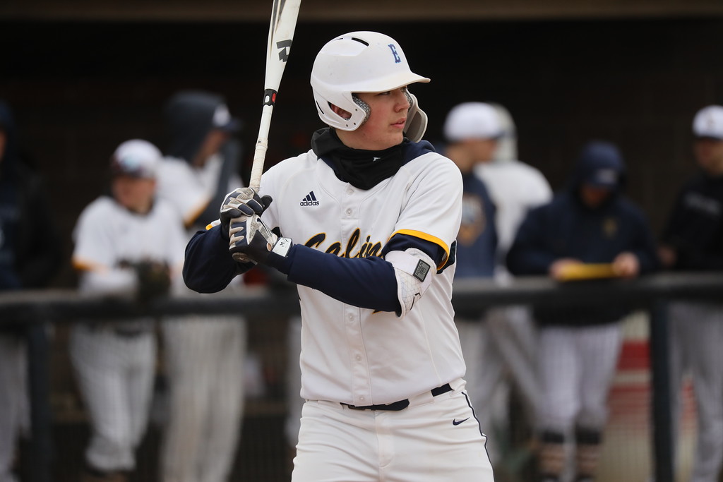 Ann Arbor-area baseball, softball dream teams - mlive.com