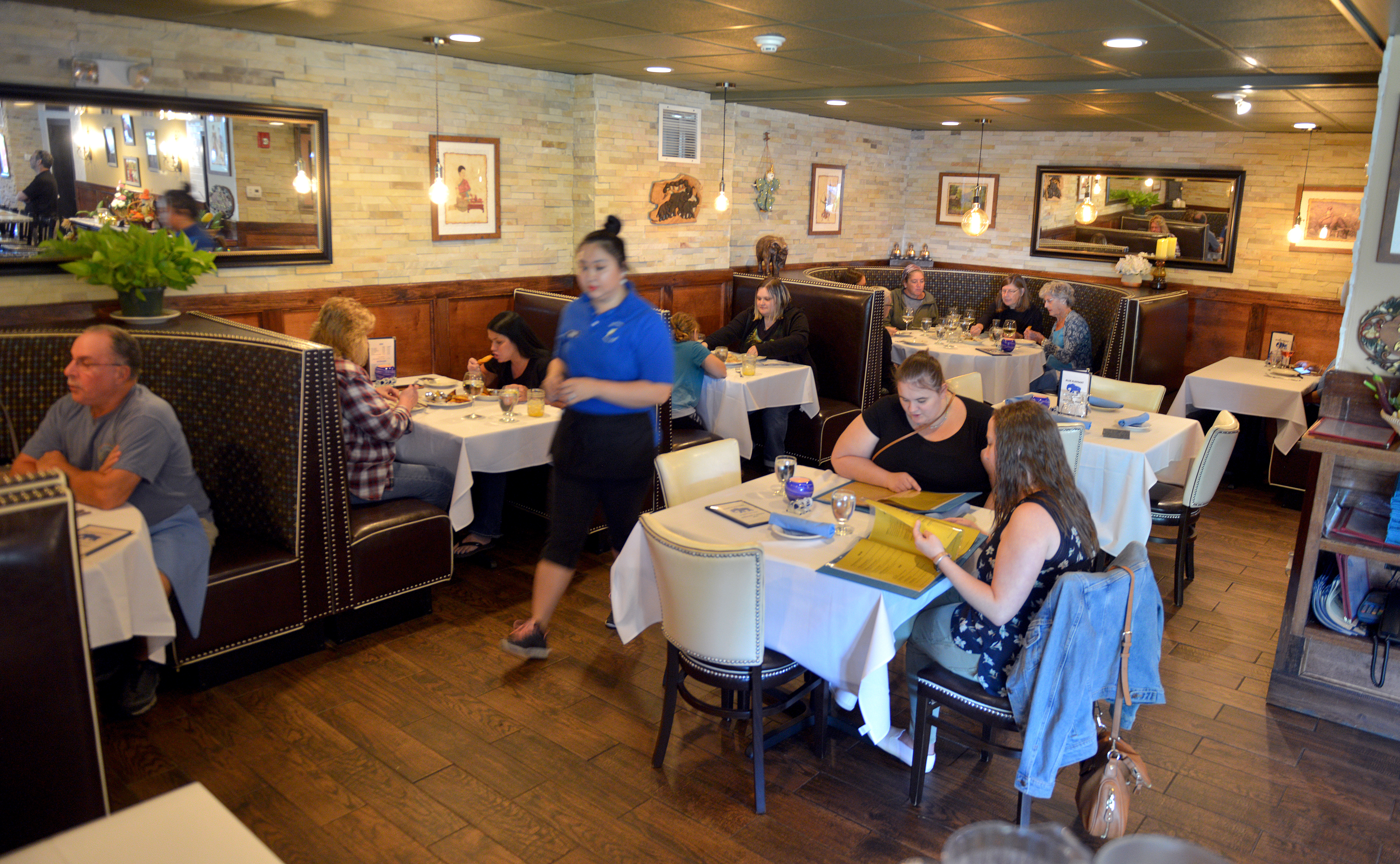 Restaurant Photos: Blue Elephant Thai Cuisine in Wilbraham - masslive.com