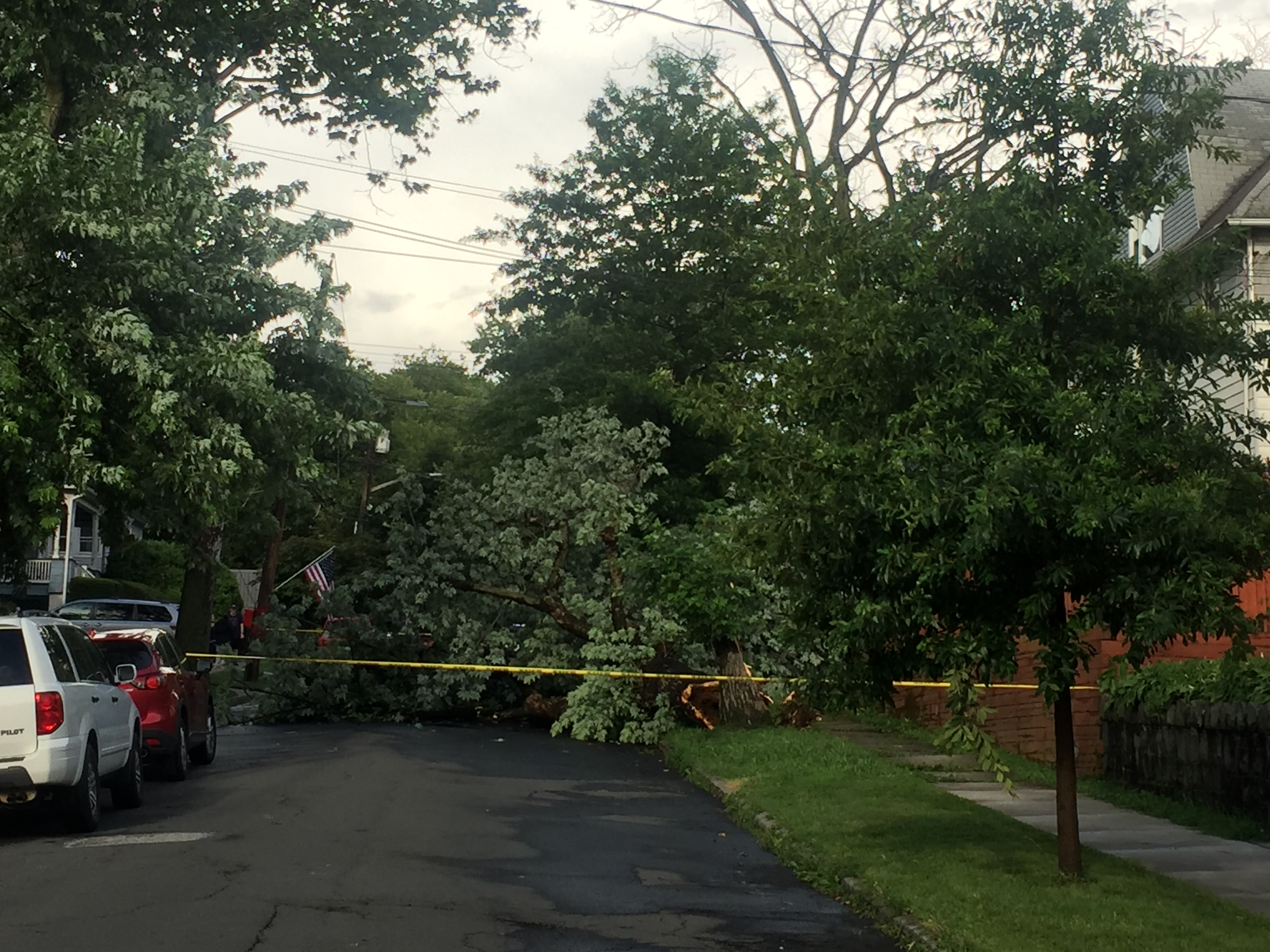 Storm brings down trees on Staten Island - silive.com