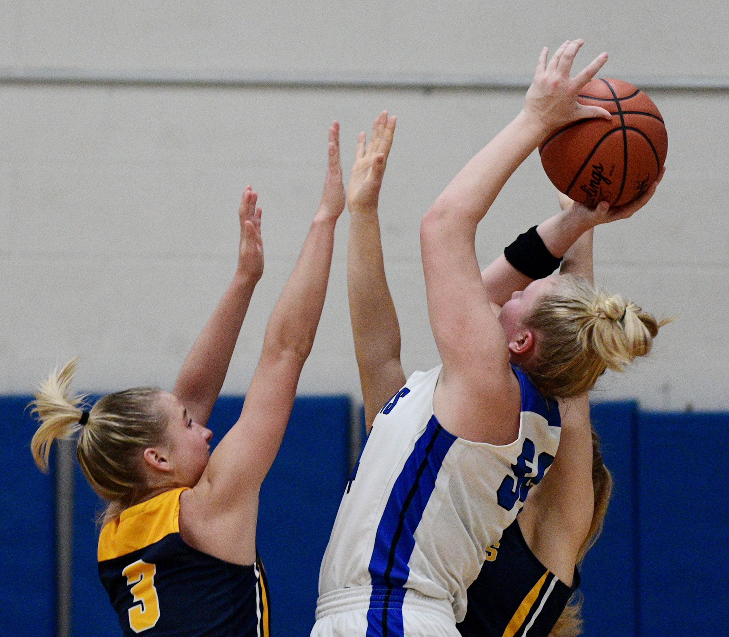 Alana Nelson breaks Springport girls basketball records - mlive.com