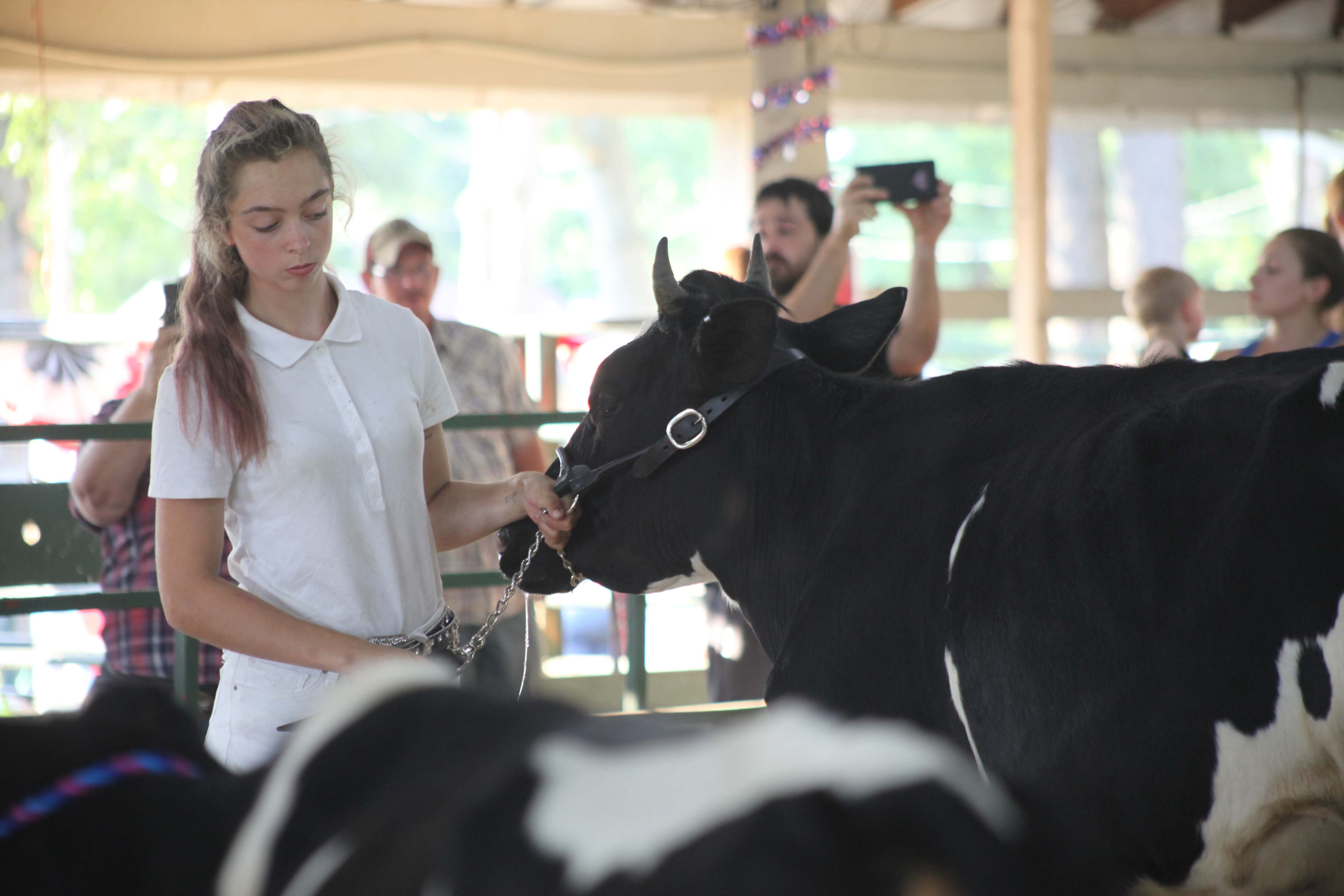 Cumberland County Fair 2019 has something fun for everyone - nj.com