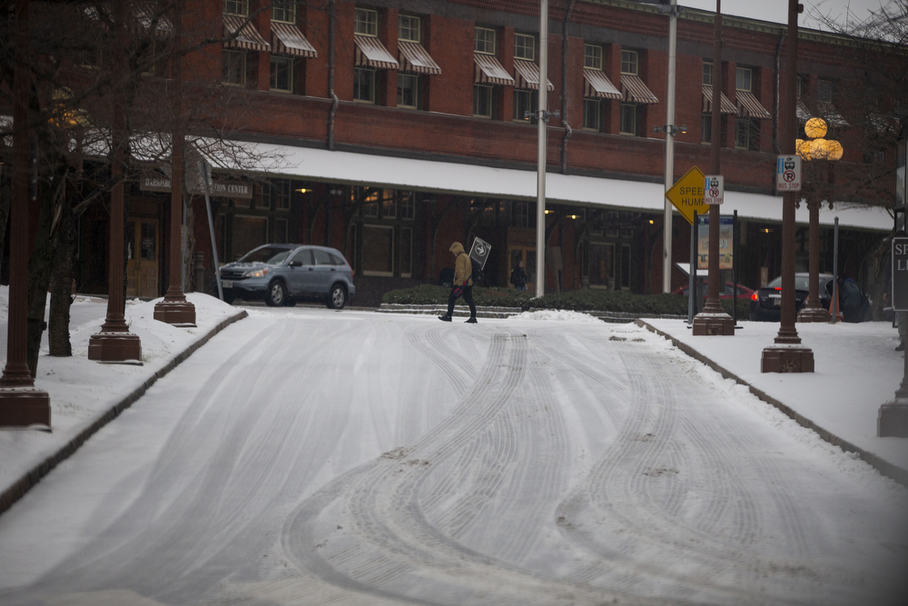Snow dusted the Capitol region in Harrisburg Saturday - pennlive.com