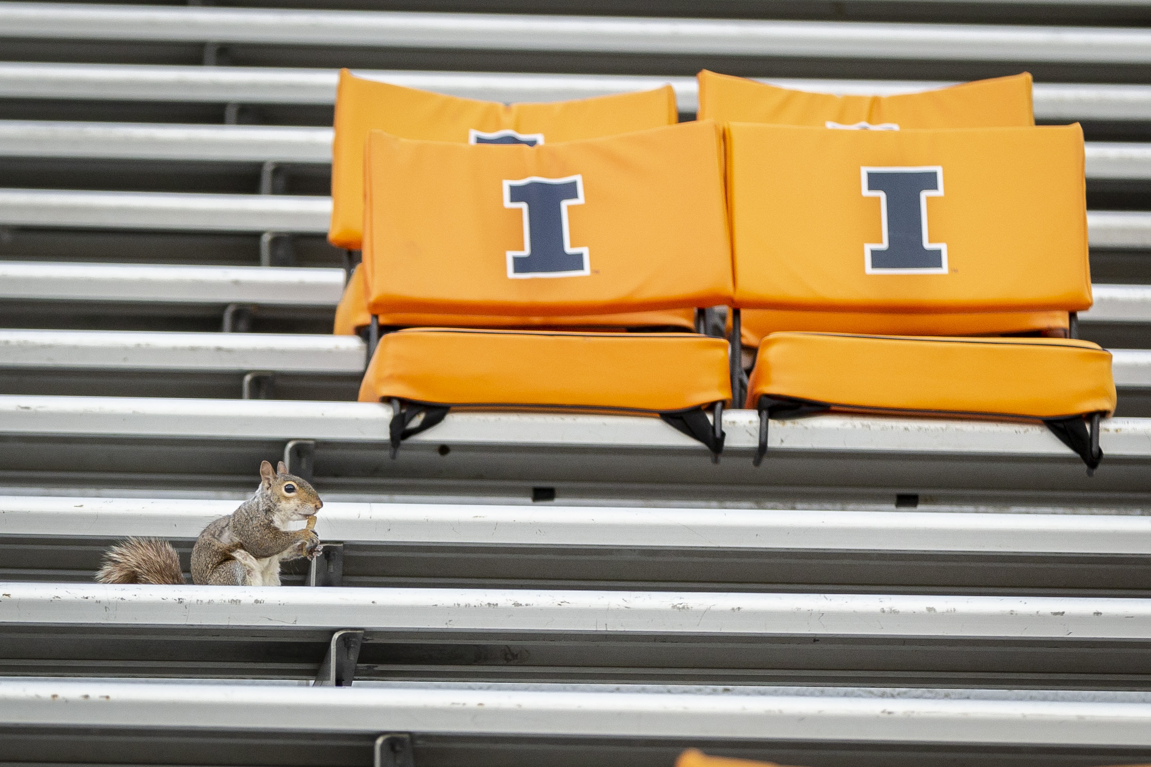 Penn State football: 2018 in photos - pennlive.com