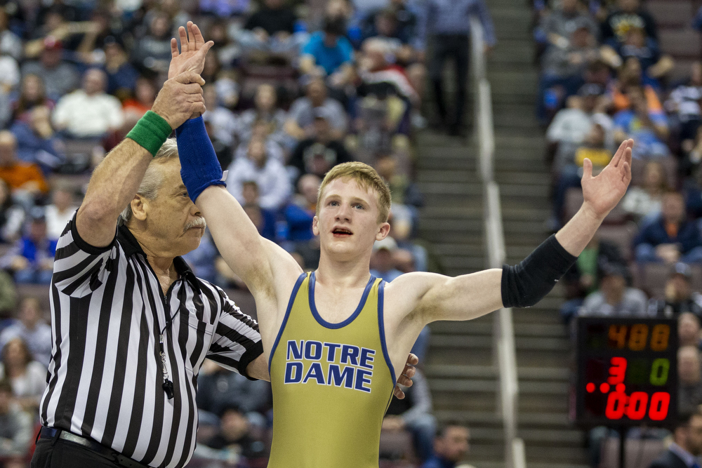 2019 PIAA Class 2A individual wrestling state championship finals ...