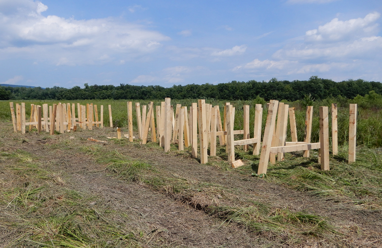 Fish habitat structures built while Minsi Lake is drained ...