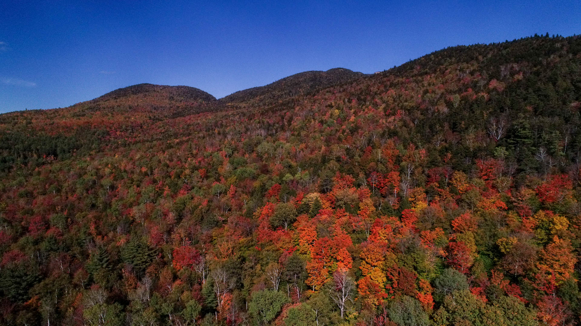 Peak colors explode in the Adirondacks - syracuse.com