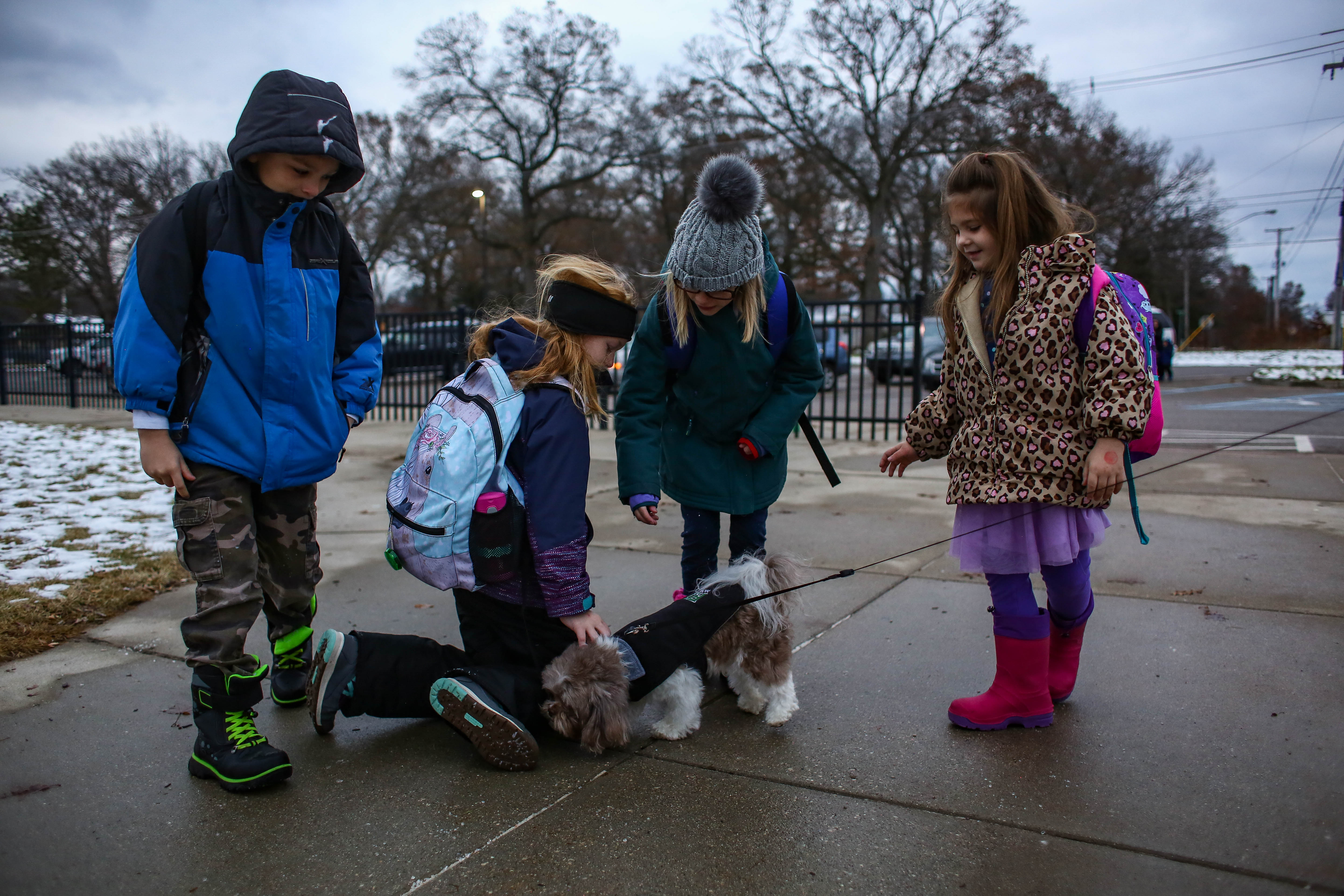 Therapy dog transforms elementary school - mlive.com
