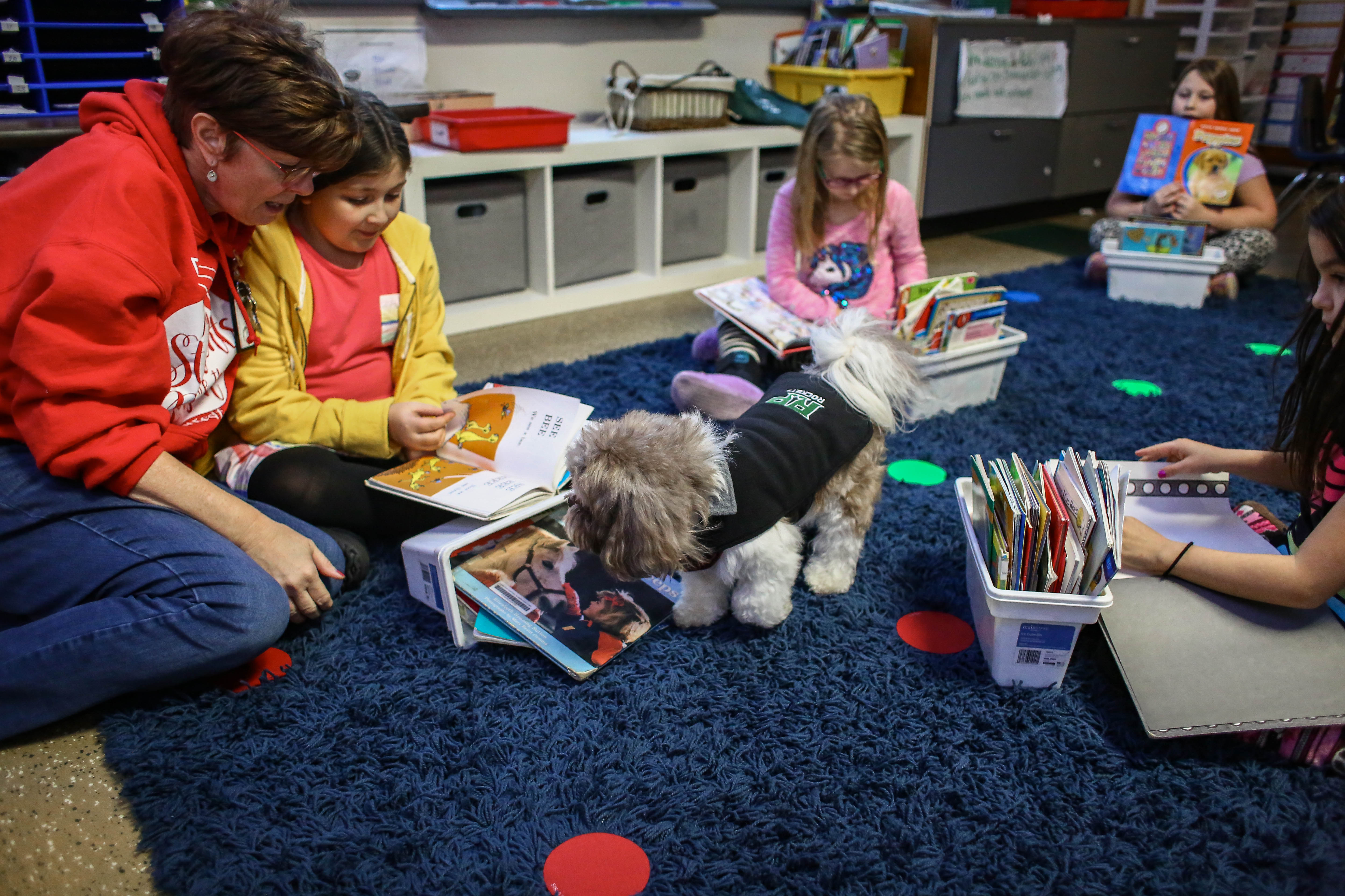 Therapy dog transforms elementary school - mlive.com