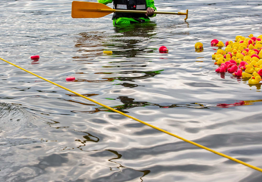 Rubber Duck Race at Kipona 2019 - pennlive.com