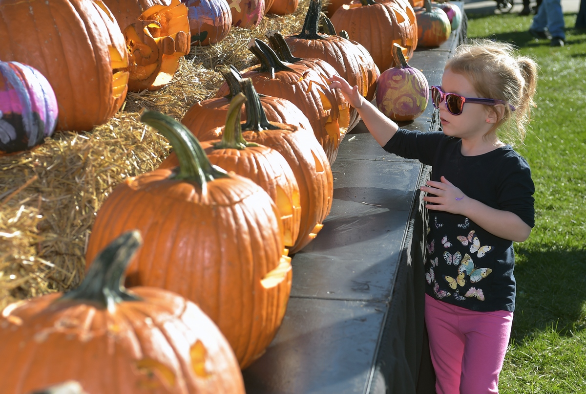 Westfield PumpkinFest 2019 - masslive.com