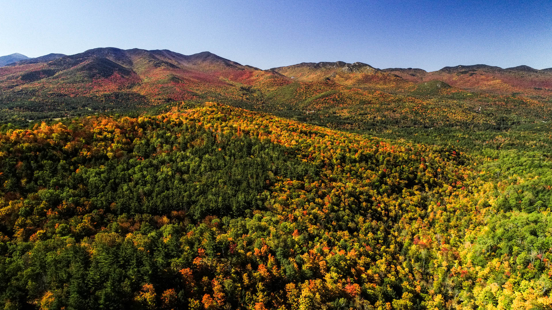 Peak colors explode in the Adirondacks - syracuse.com