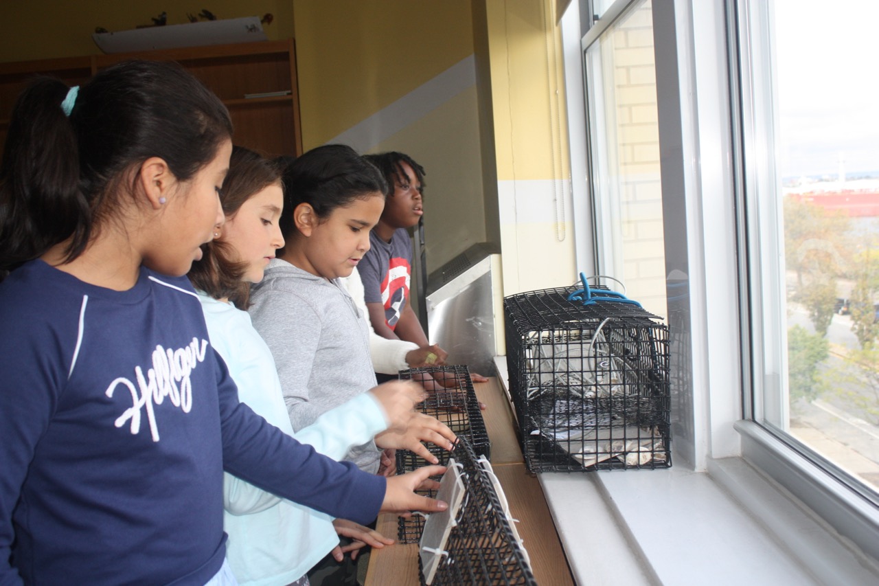 Students at PS 59 learn about New York Harbor - silive.com