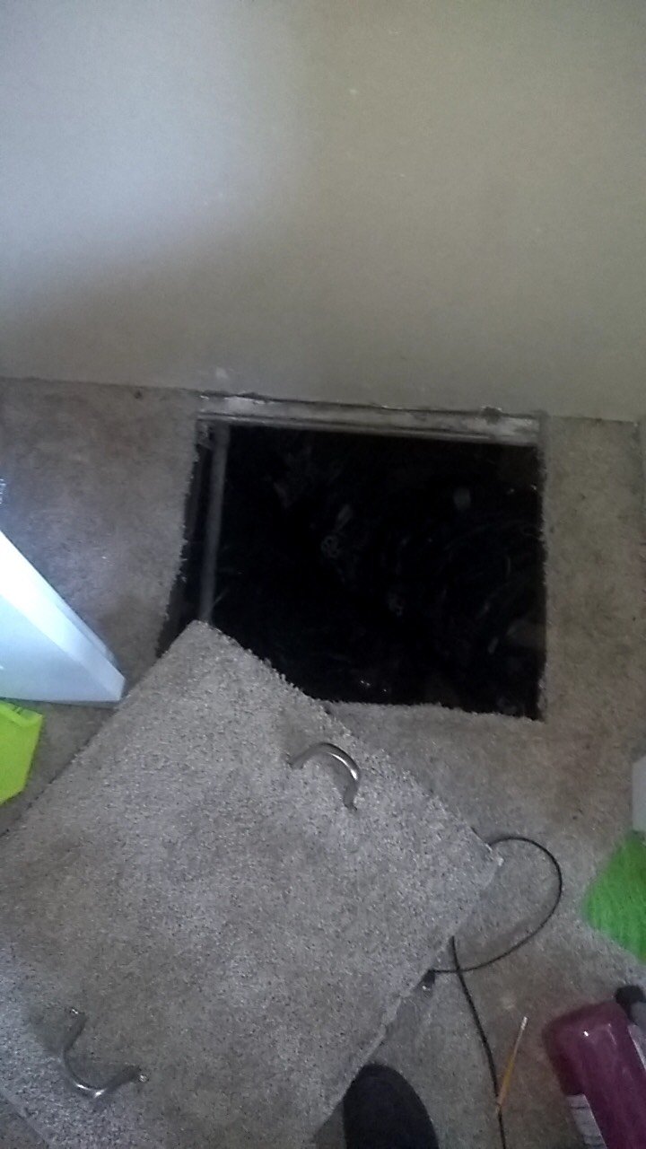 Oregon man in onesie, cat named Spaghetti found hiding in crawl space ...