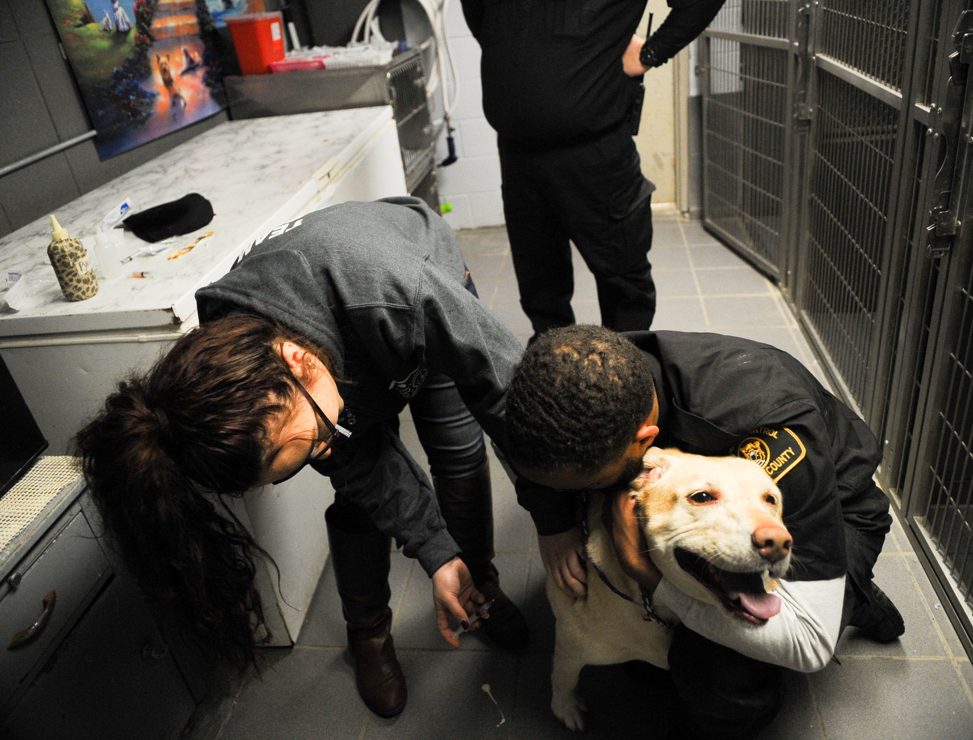 Jackson County Animal Control back after being shut down in 2014 ...