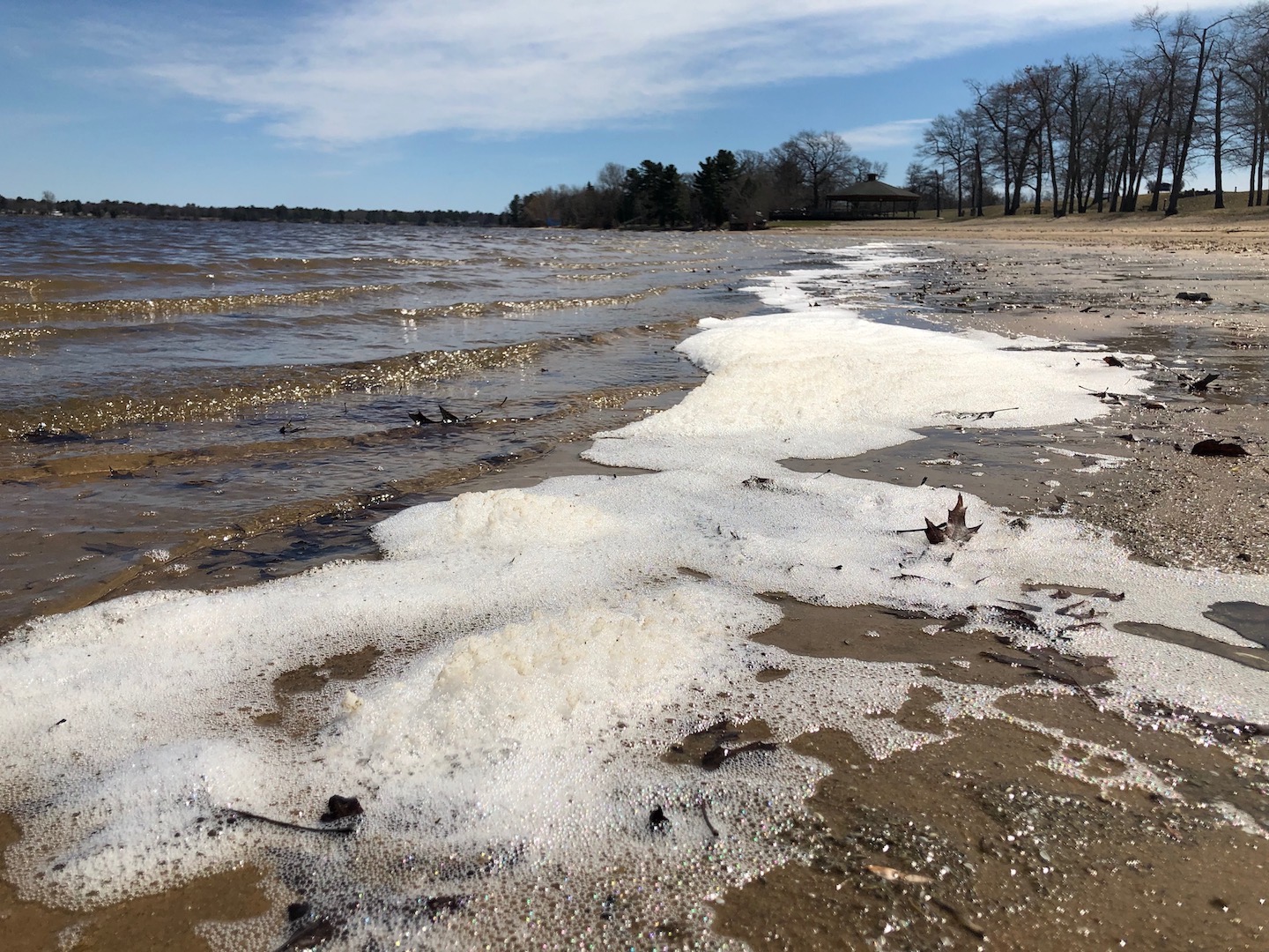 MSU-Fraunhofer lab develops PFAS treatment - mlive.com