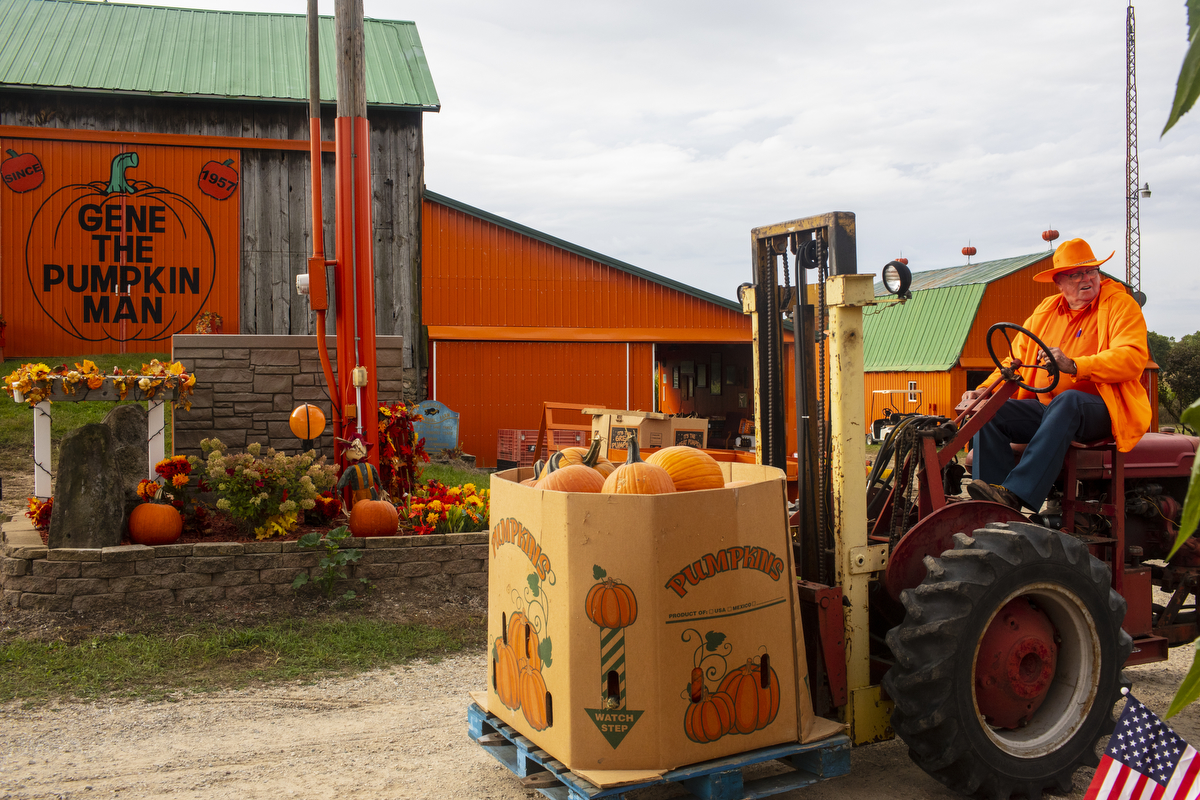 Gene The Pumpkin Man since 1957 - mlive.com