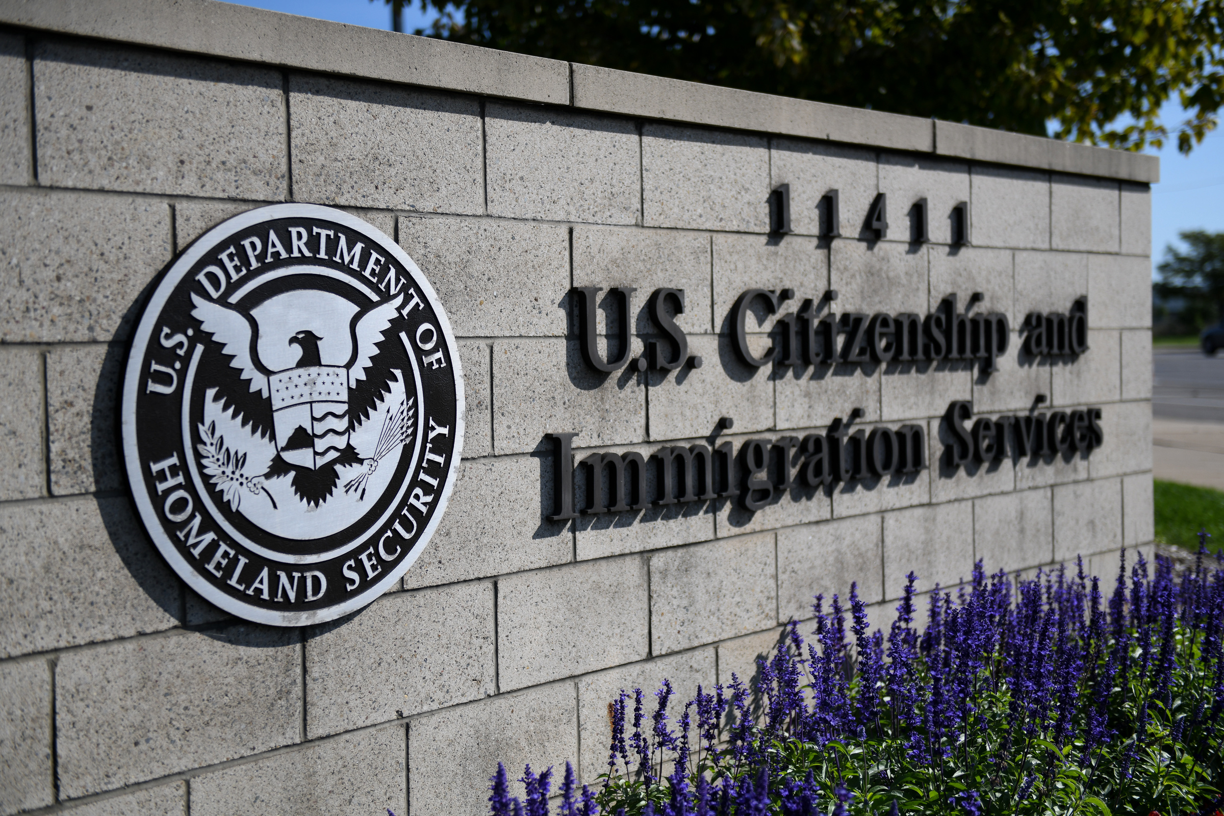 Kidney transplant recipient denied insurance after delay in immigration ...