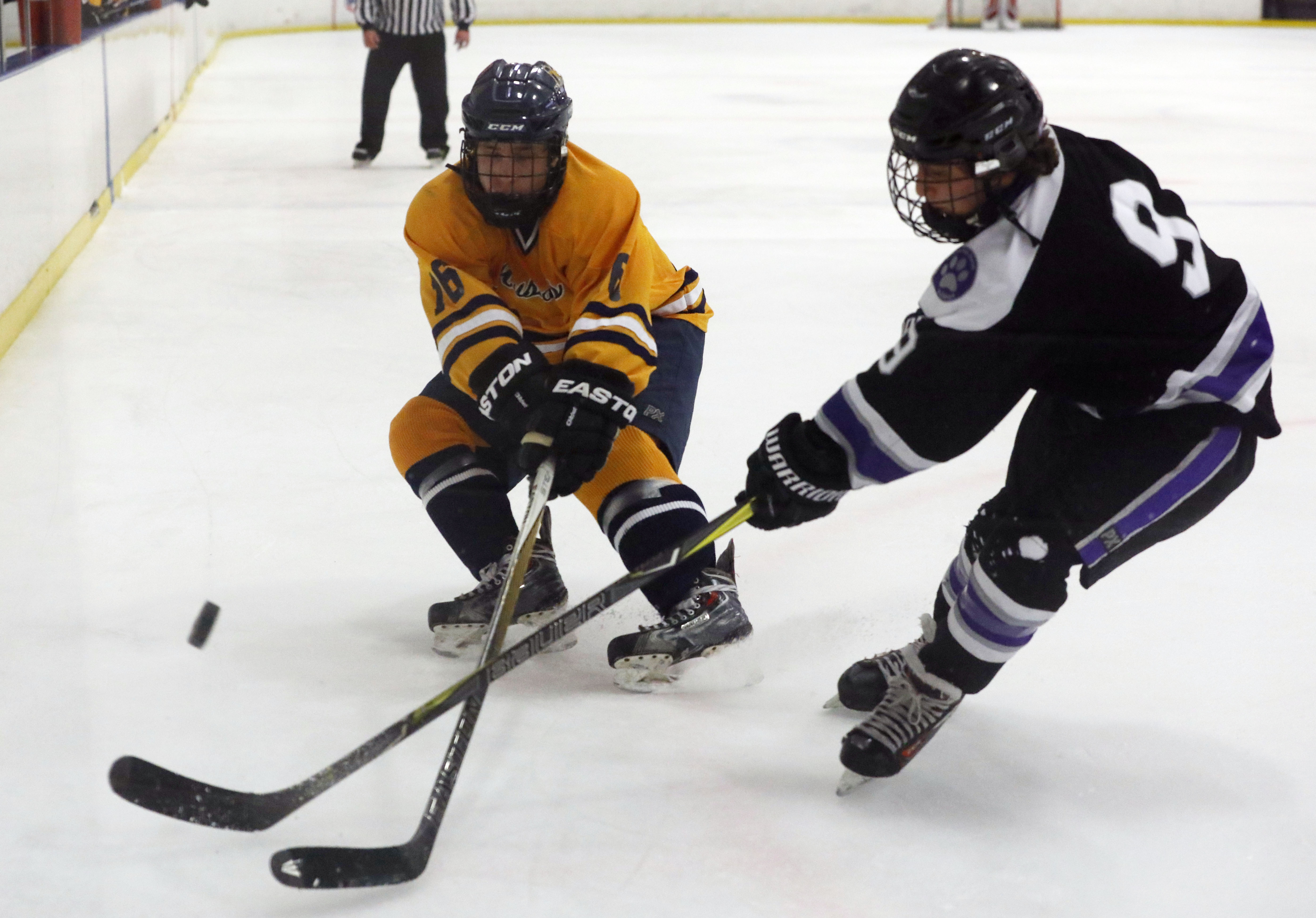 Boys Ice Hockey: Marlboro pulls out 1-1 tie with Rumson-Fair Haven - nj.com